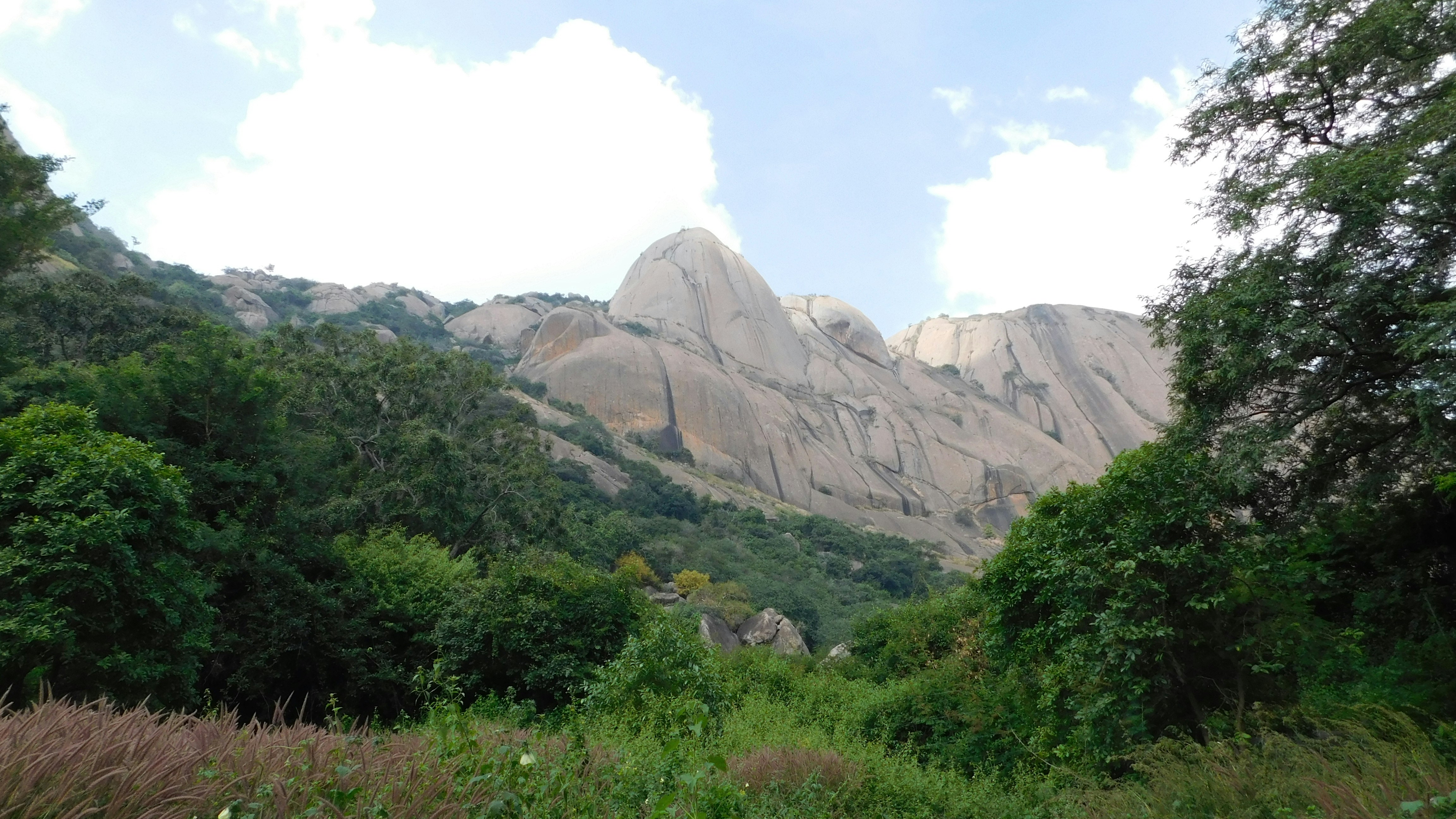 Majestic mountains rise above lush greenery.