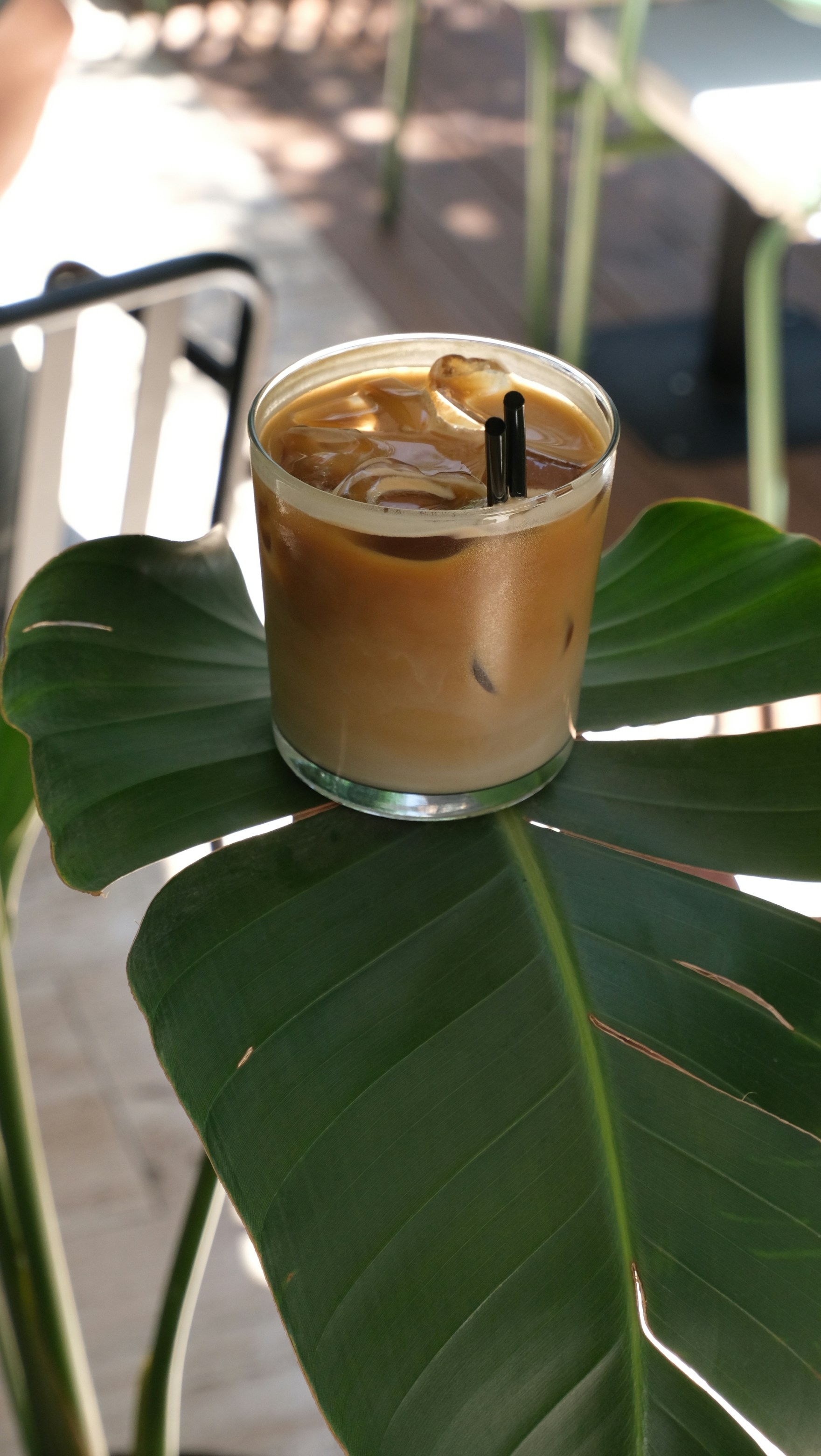 Iced Coffee on a Banana Leaf Under Quiet Tropical Light