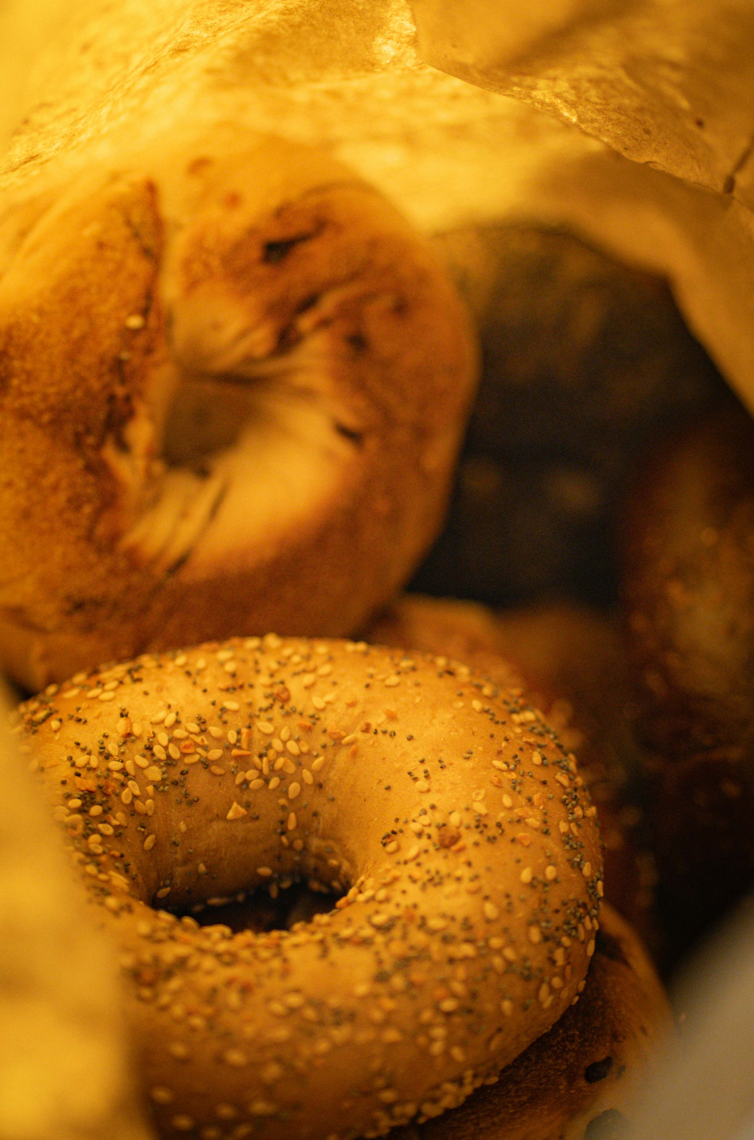 Sunlit Sesame Rings: A Quiet Bakery Moment
