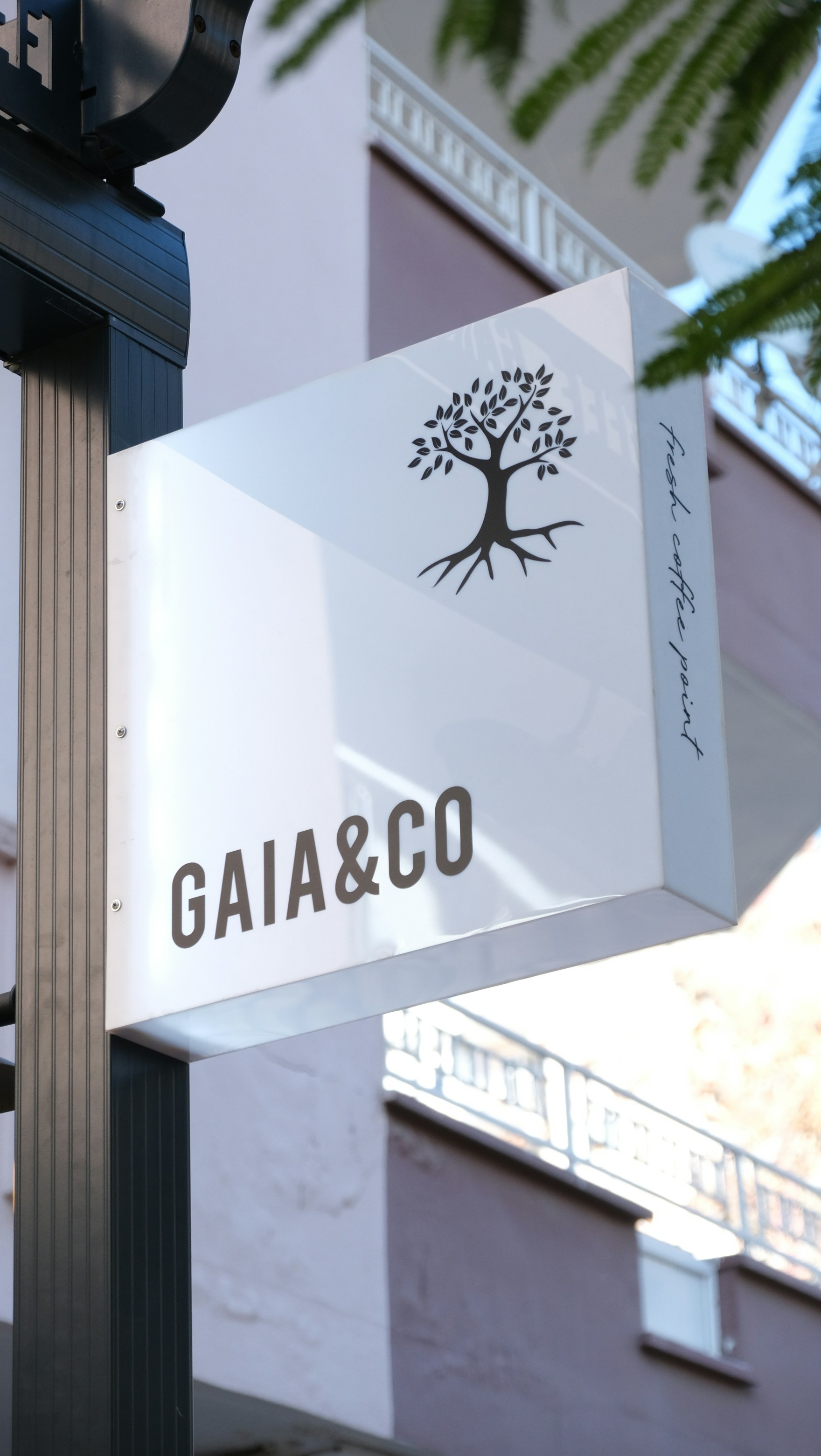 A sign for "gaia & co" is displayed. photo – Free Logo Image on Unsplash