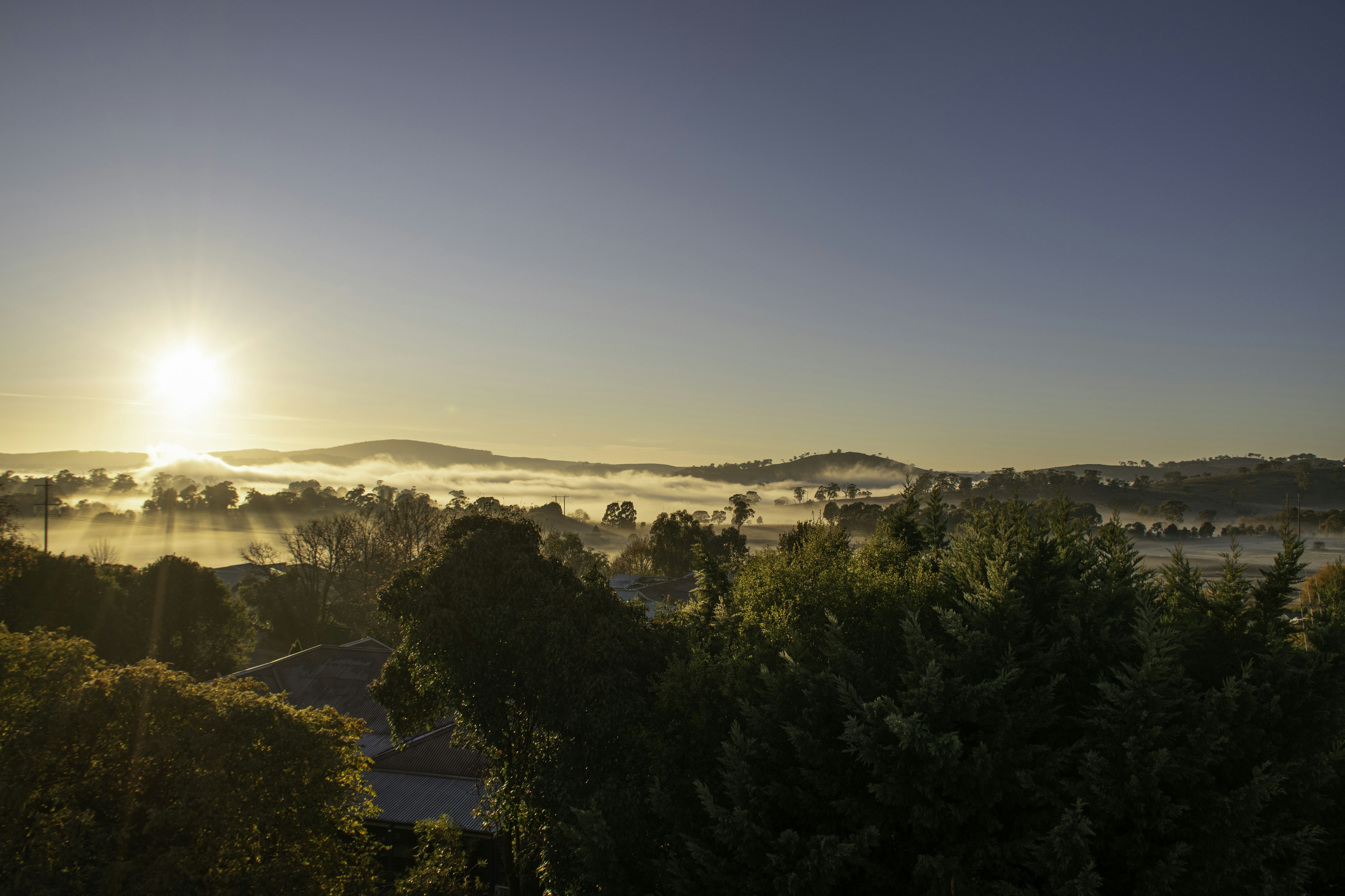 Low Sunrise Over a Misty Valley: Dawn Light Weaving Through Trees