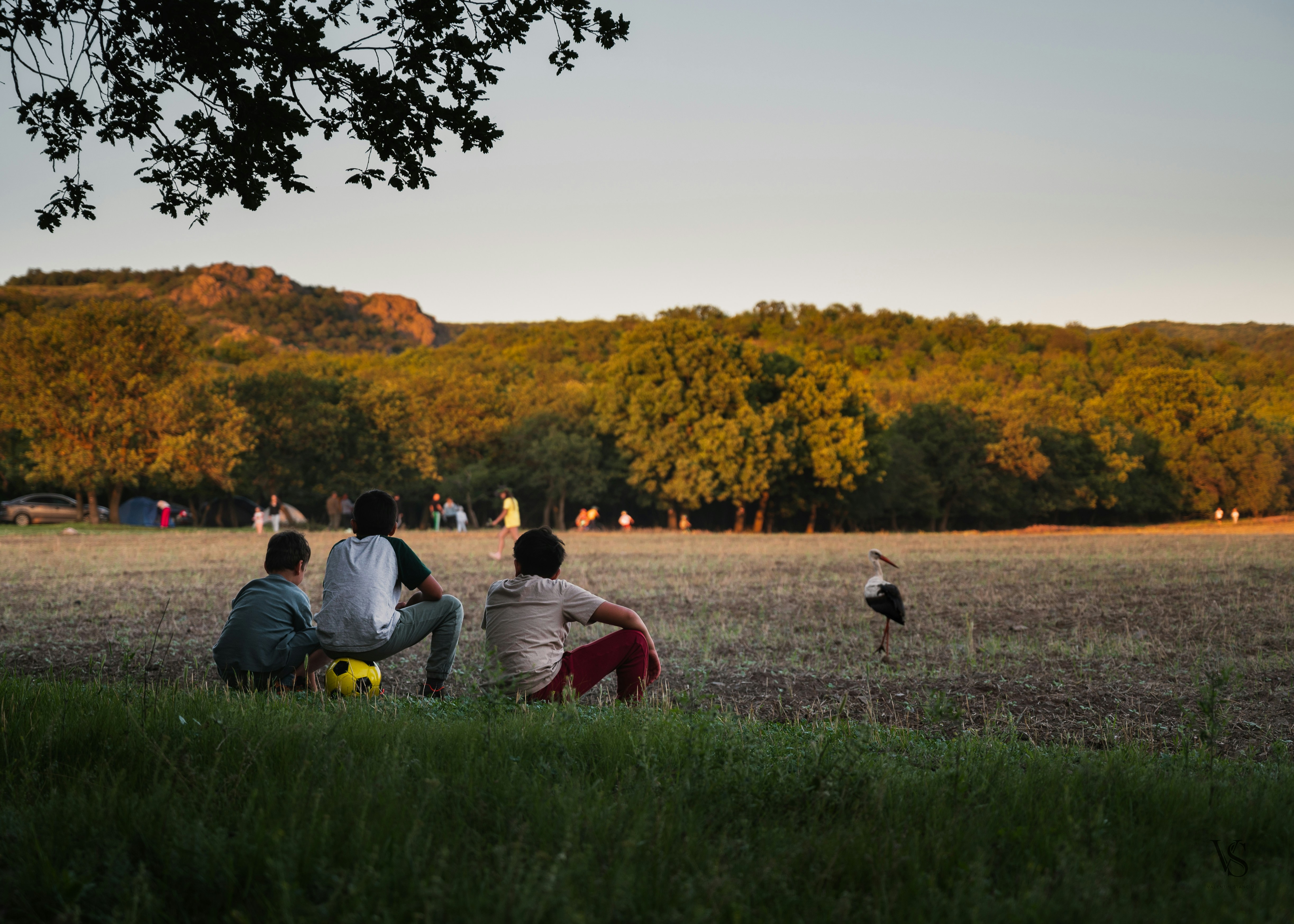 Whispers of Nature: An Evening Gathering