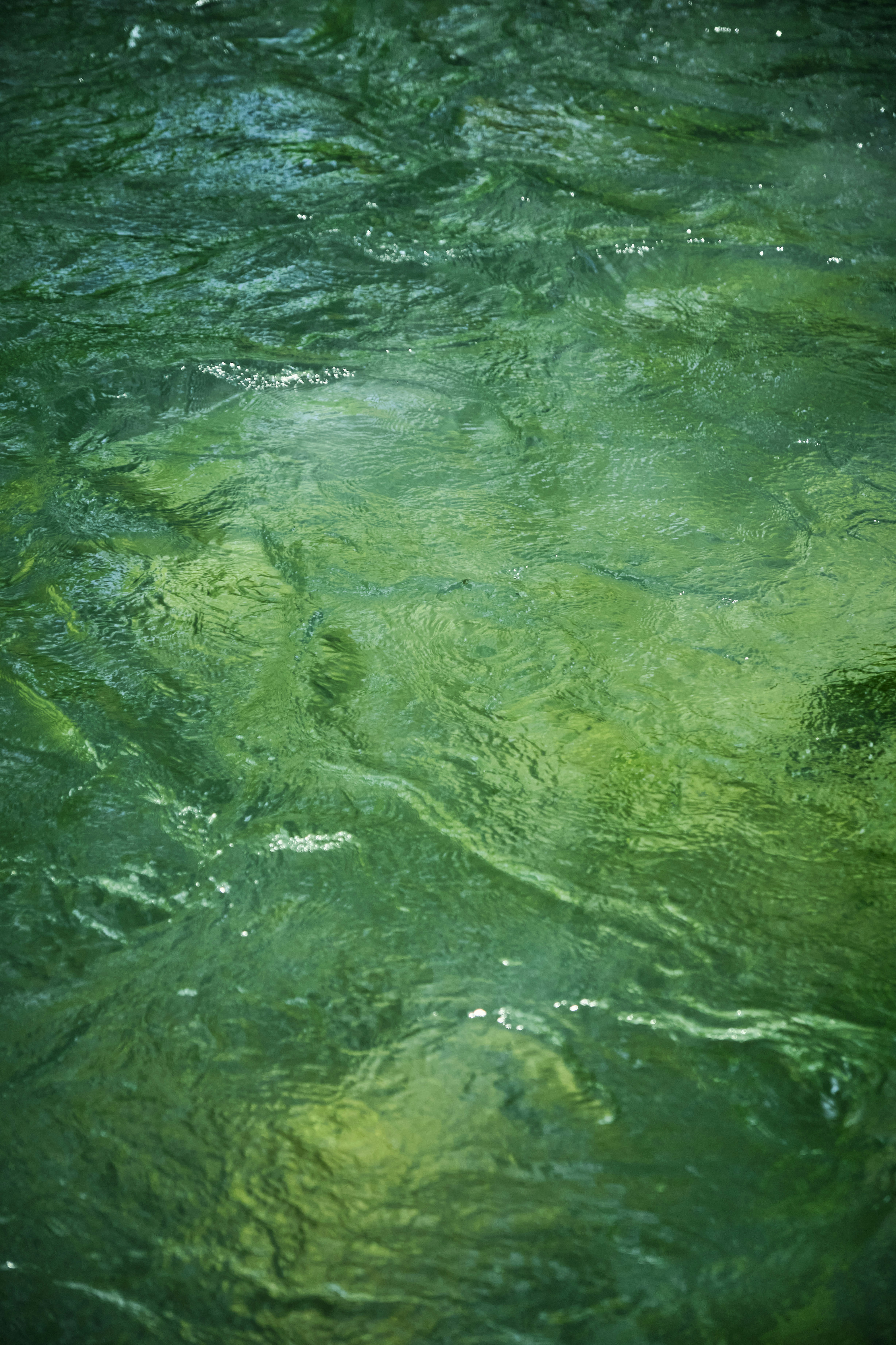 Rippling green water surface reflecting light and creating a serene aquatic scene.