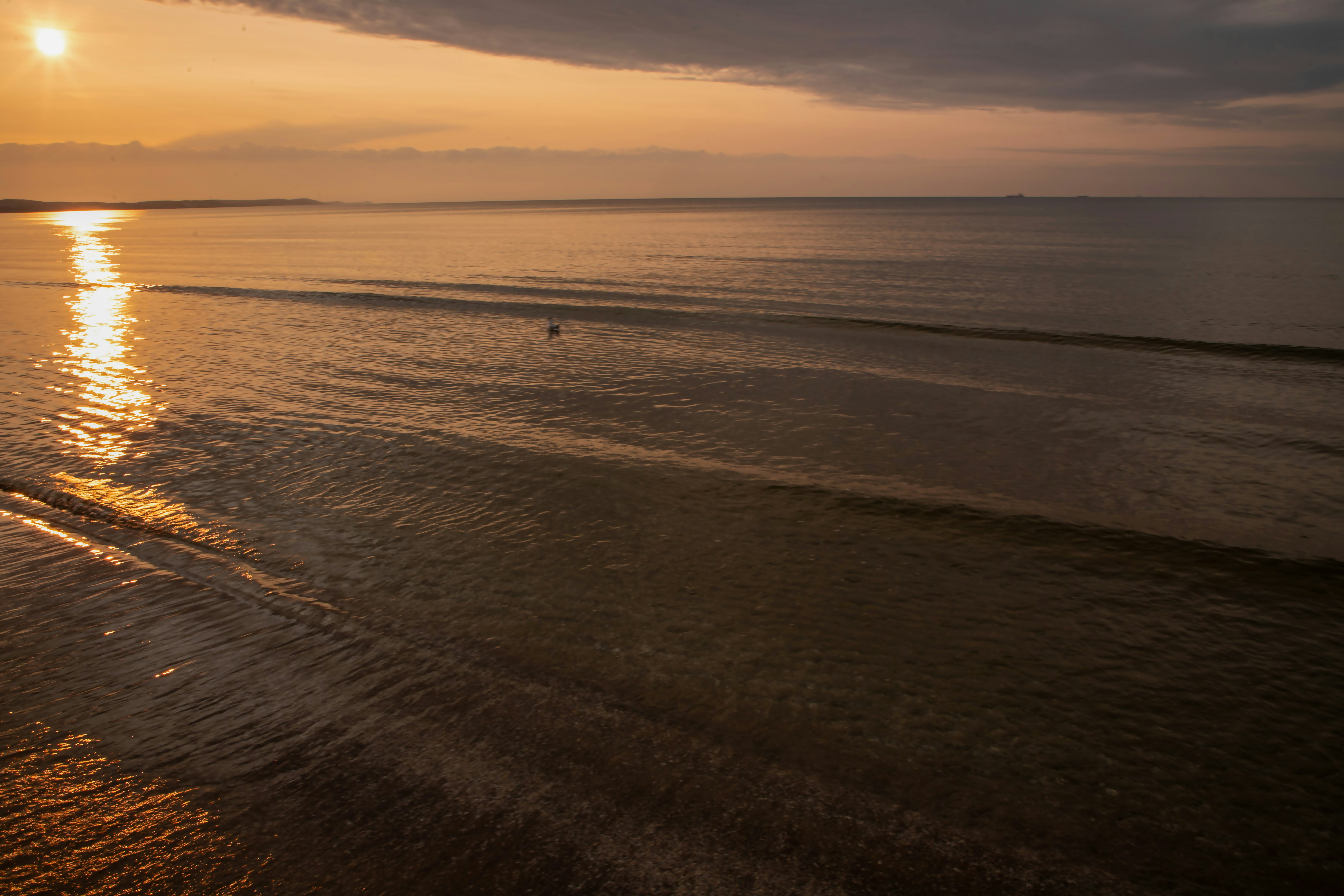 Photo by MARIOLA GROBELSKA with Canon EOS 6D Mark II