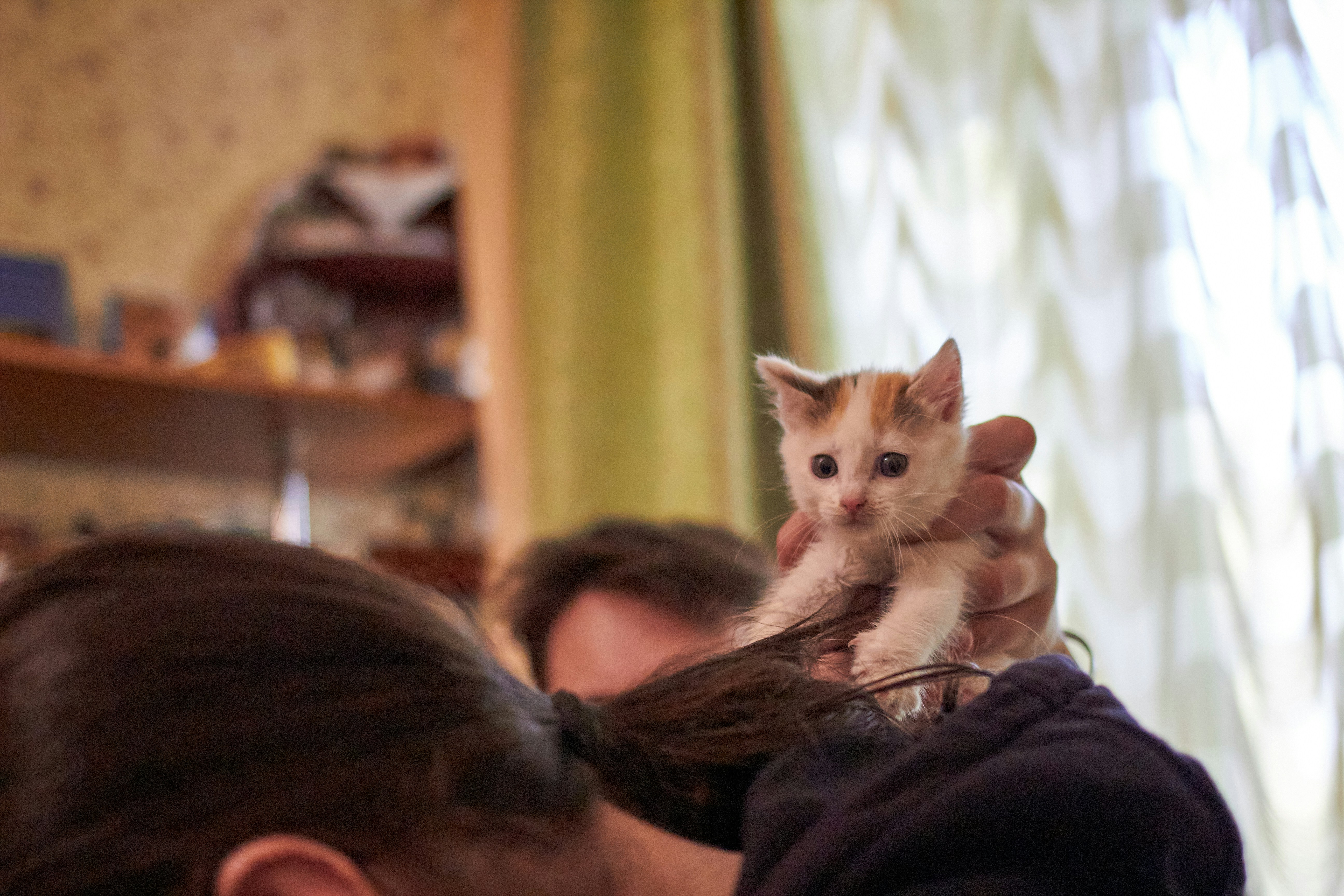 Whiskered Wonder: A Playful Moment