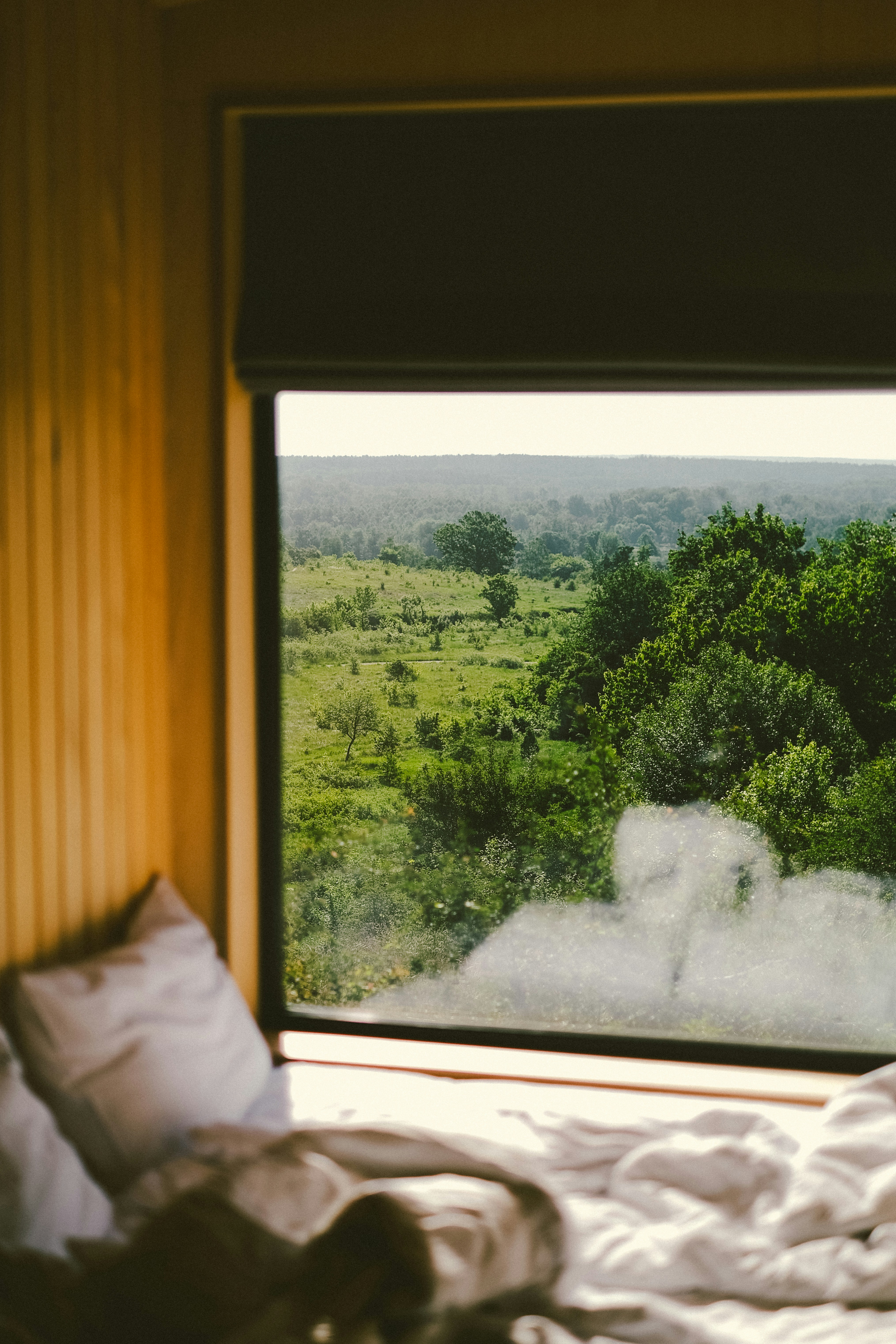 Cozy room with a view of green fields. photo – Free Forest Image on ...