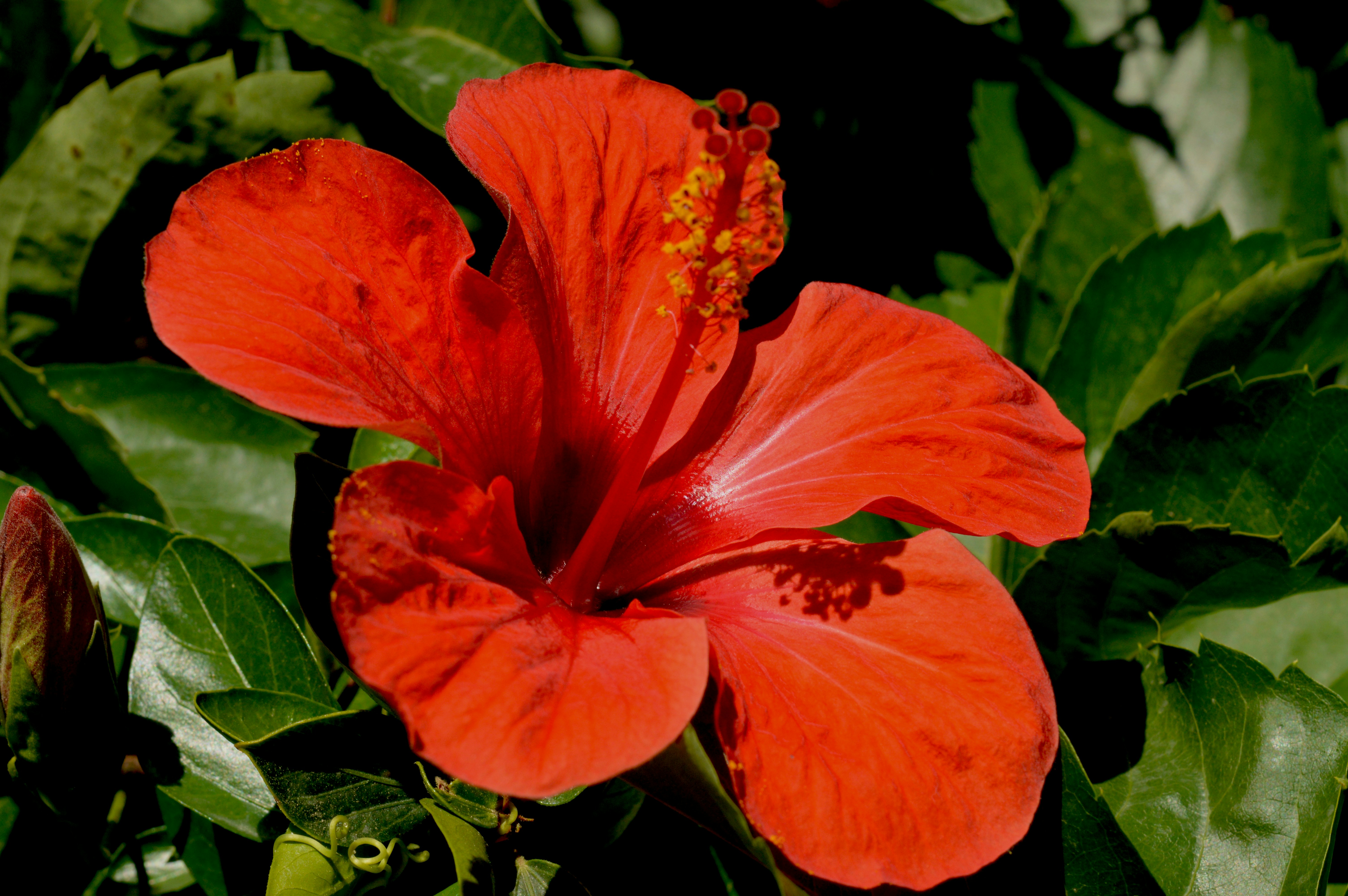 I don't recognize myself anymore - Golden Psyche