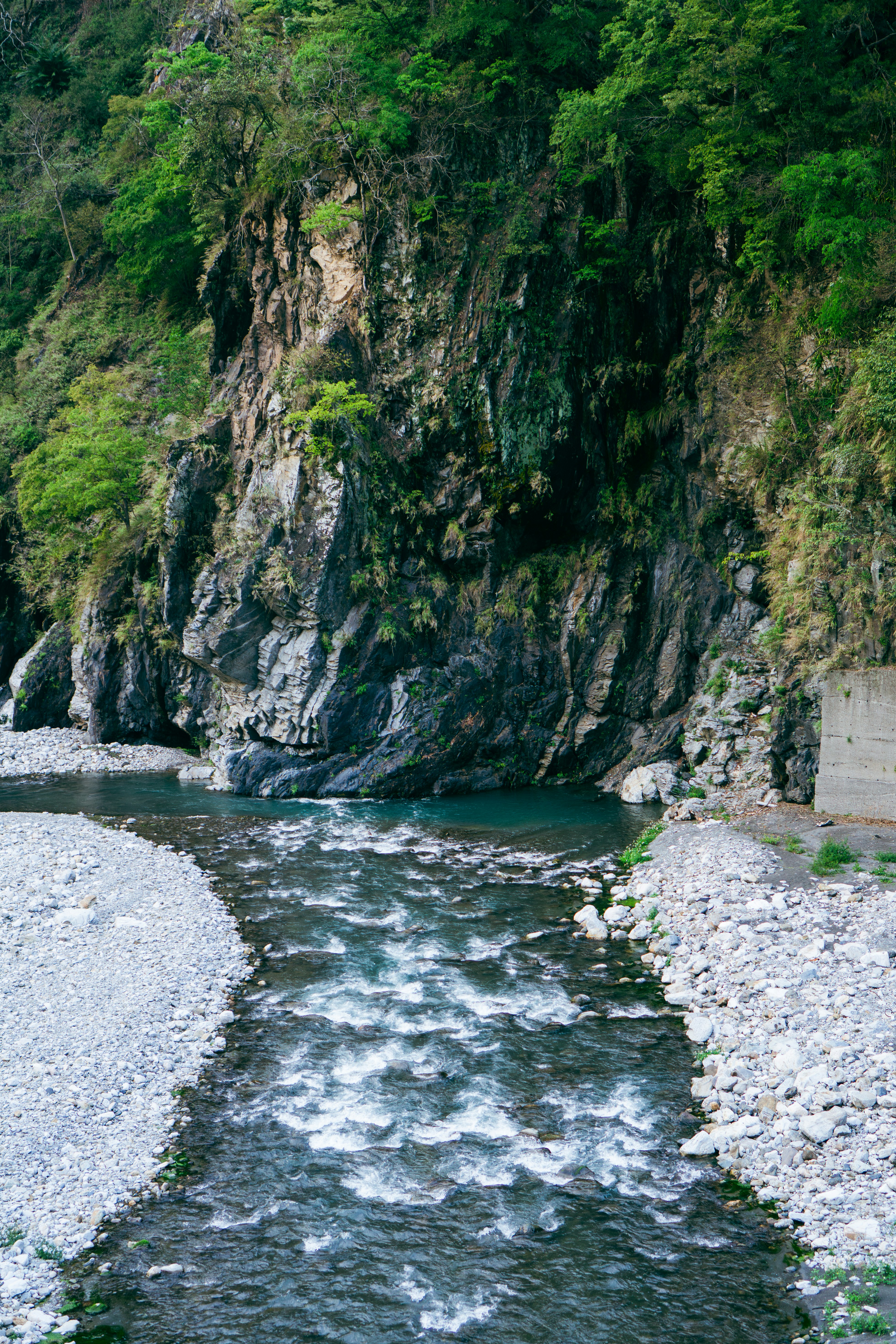 Emerald Gorge Run: A River Winding Between Moss-Covered Cliffs