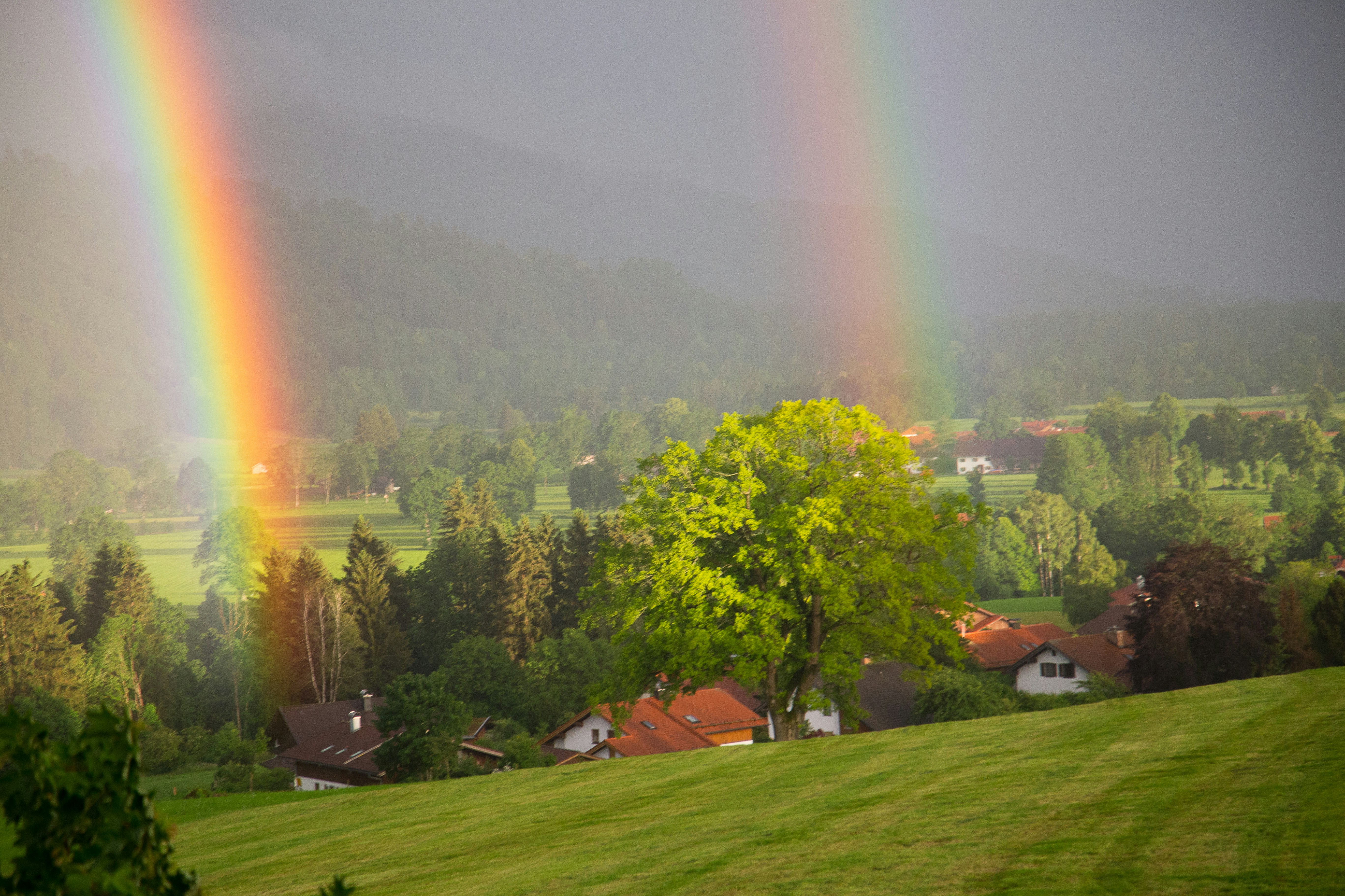 A vibrant landscape featuring two rainbows arching over a lush green valley with scattered houses and a prominent tree in the foreground.