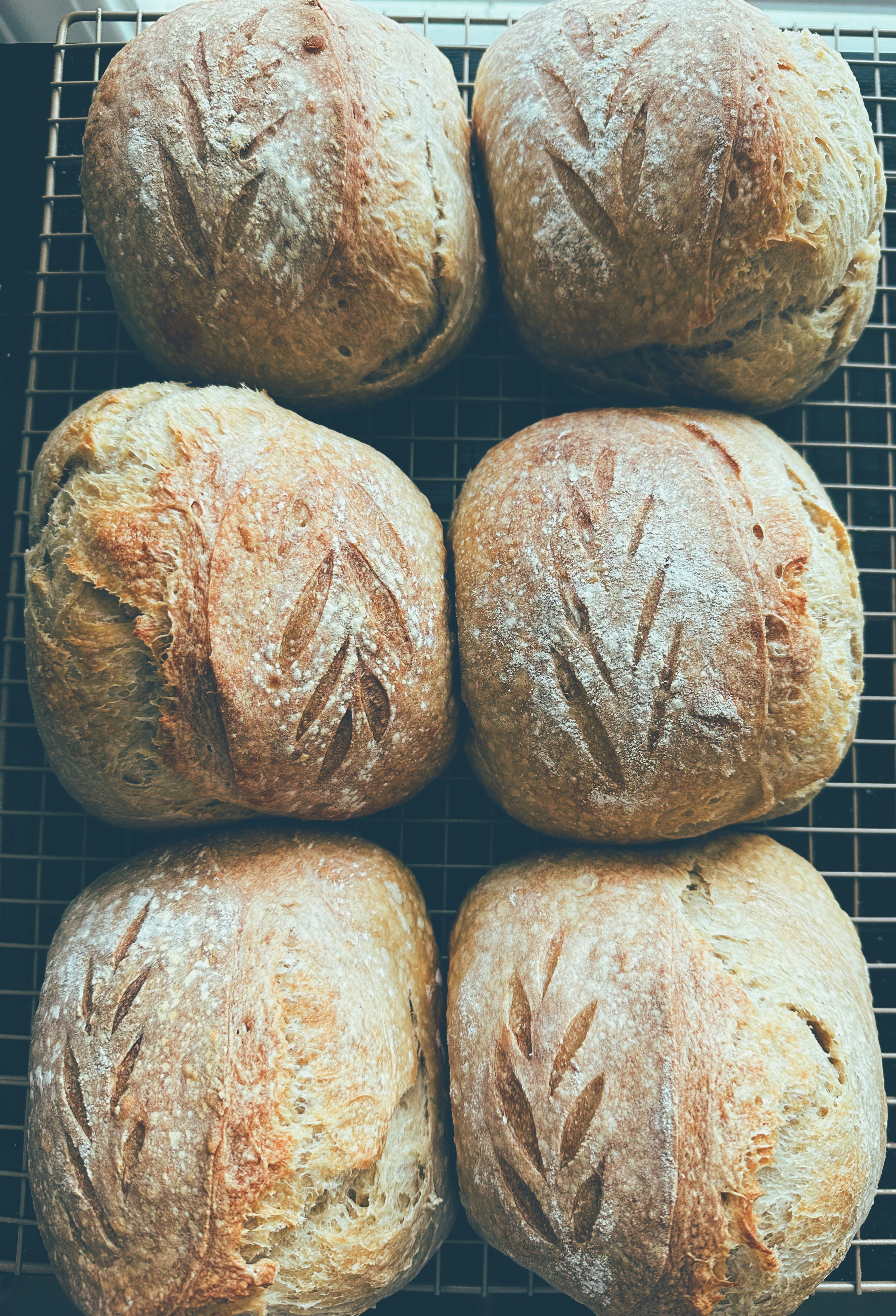 Artisan Loaves: A Rustic Delight