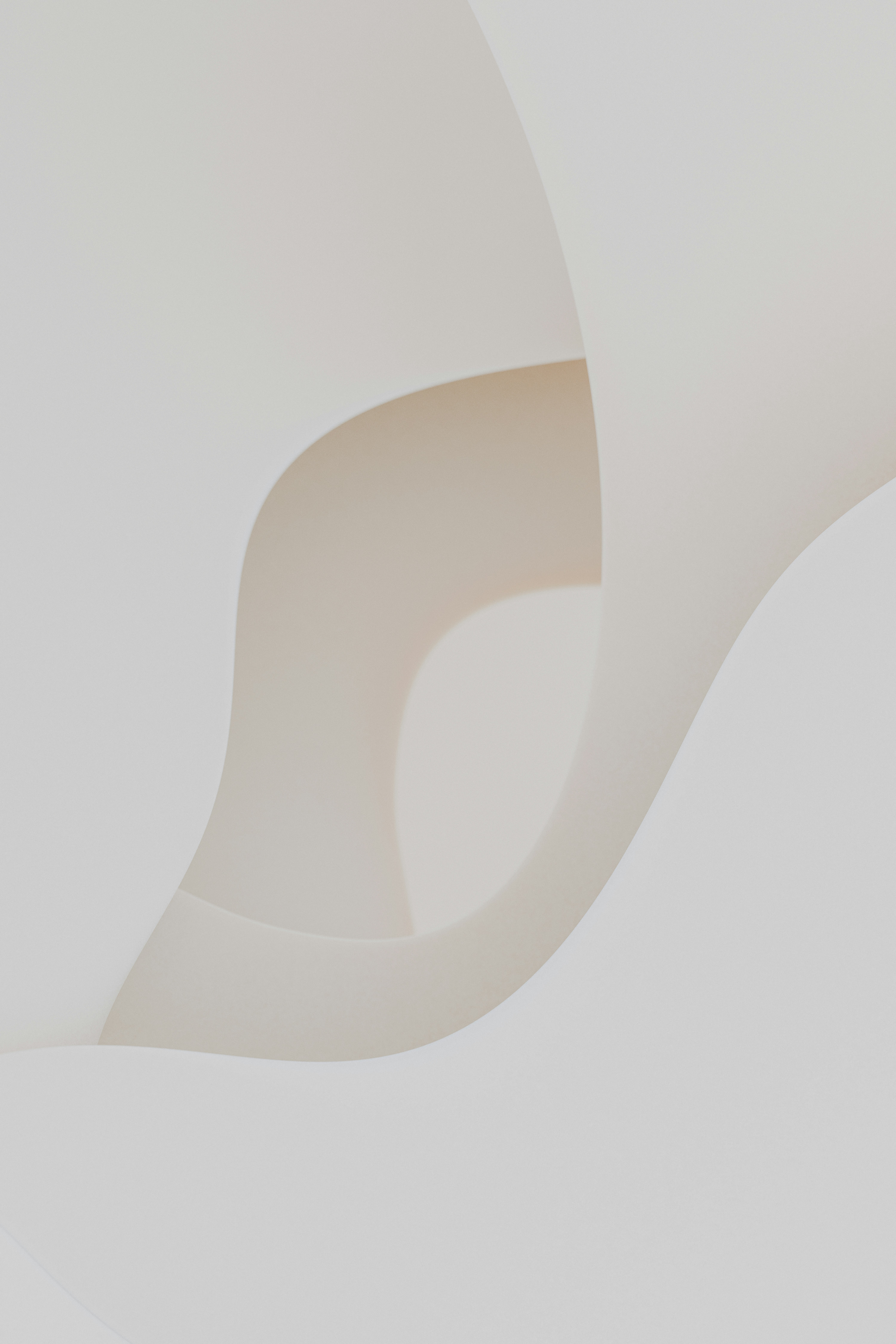 Abstract composition of soft, white, curving forms. photo – Free ...