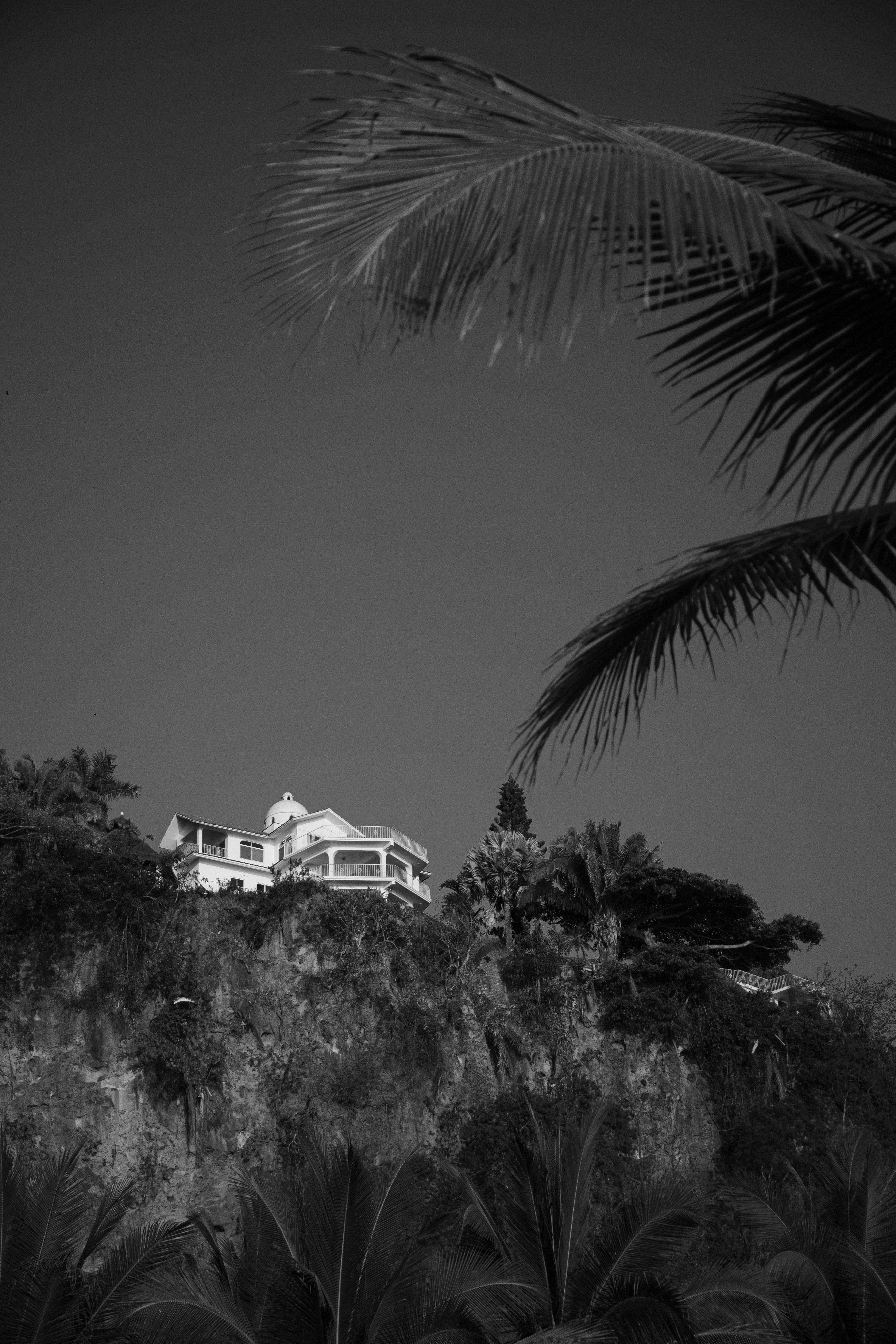 Photo by Hector O'Connor with Canon EOS 6D Mark II