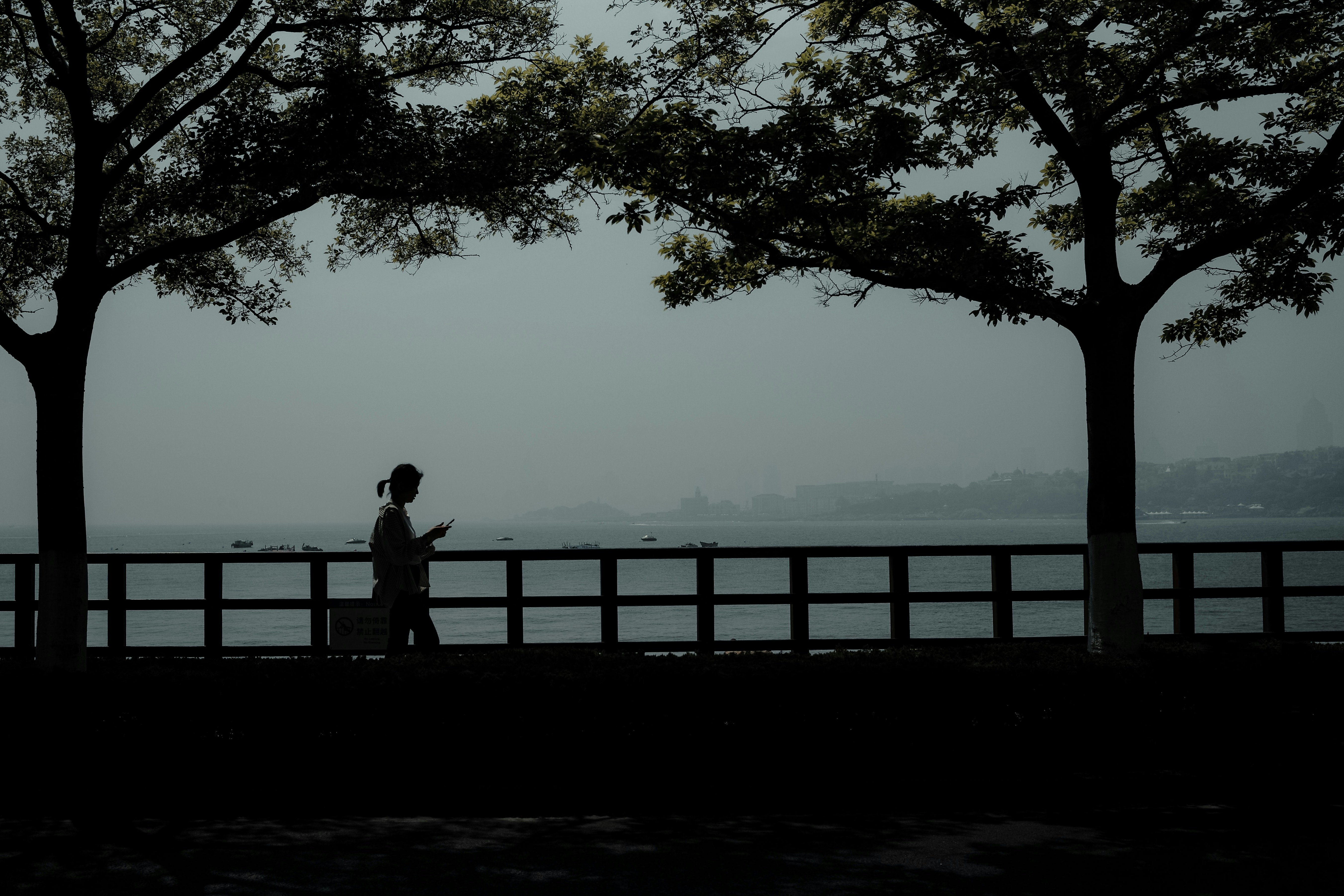 Silent Stroll by the Water's Edge