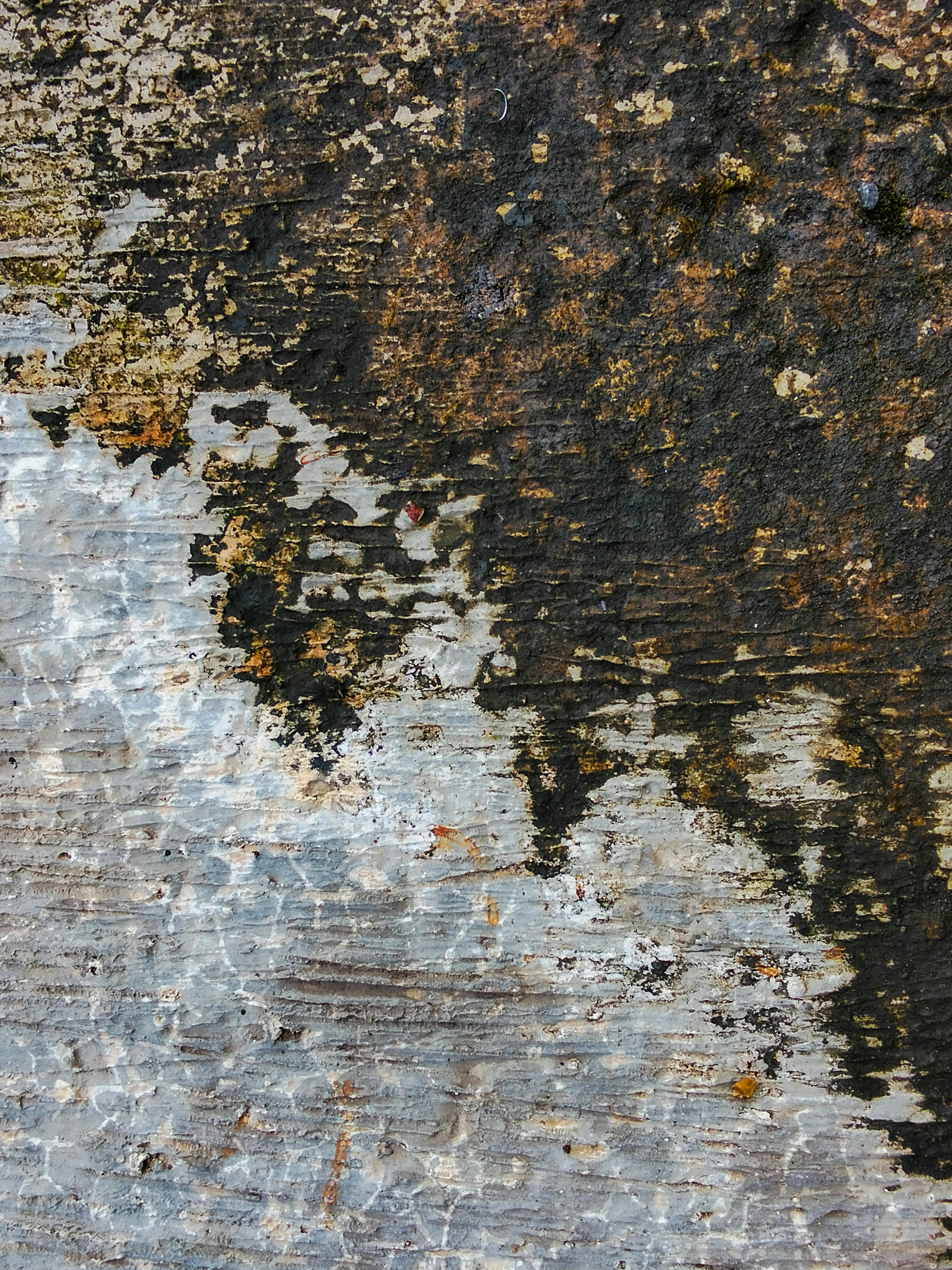 Close-up of weathered wood showcasing intricate textures and patterns formed by time and elements.