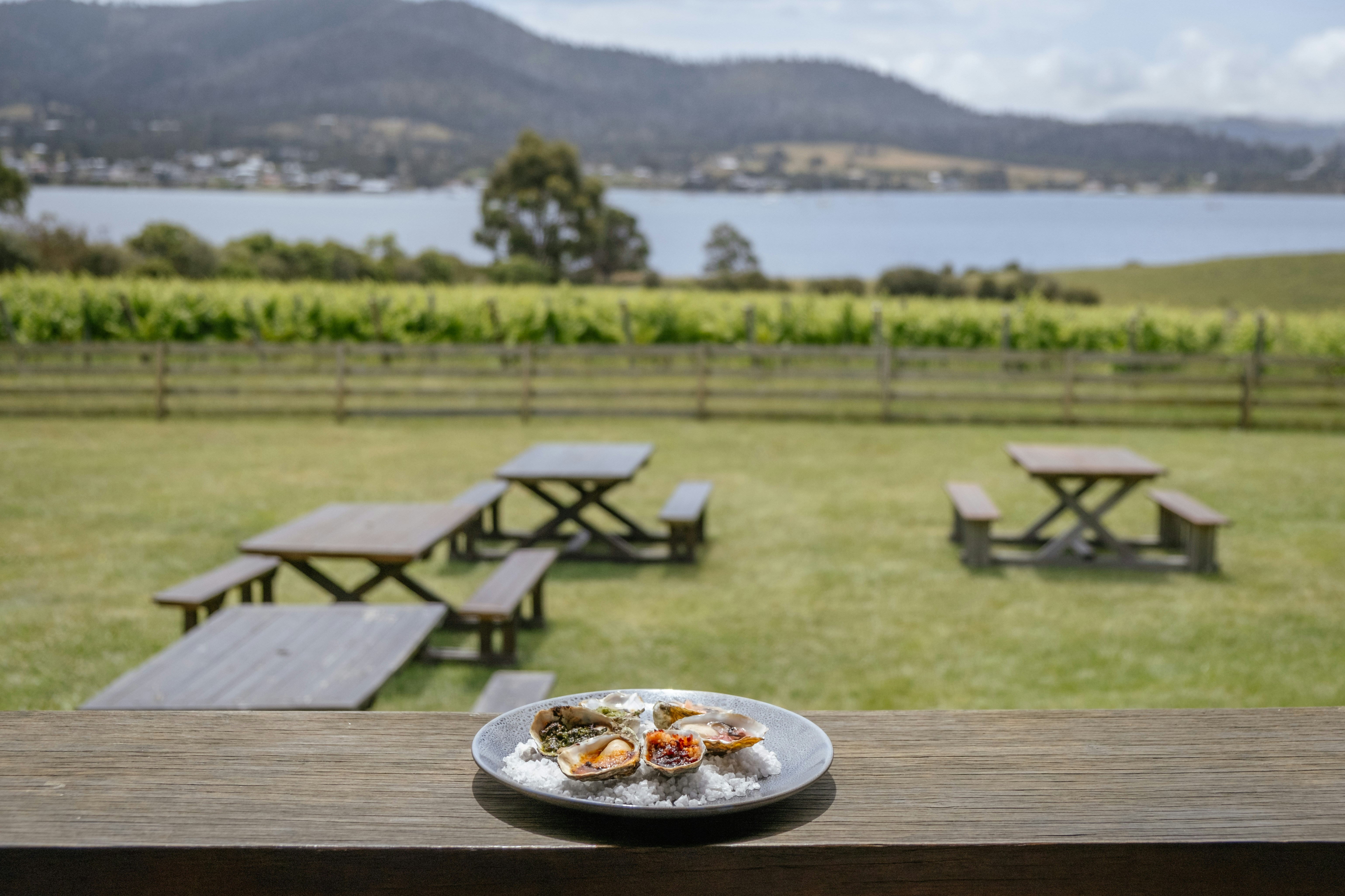 Railside Plate by the Lake: A Quiet Bite Framed by Open Water and Grass