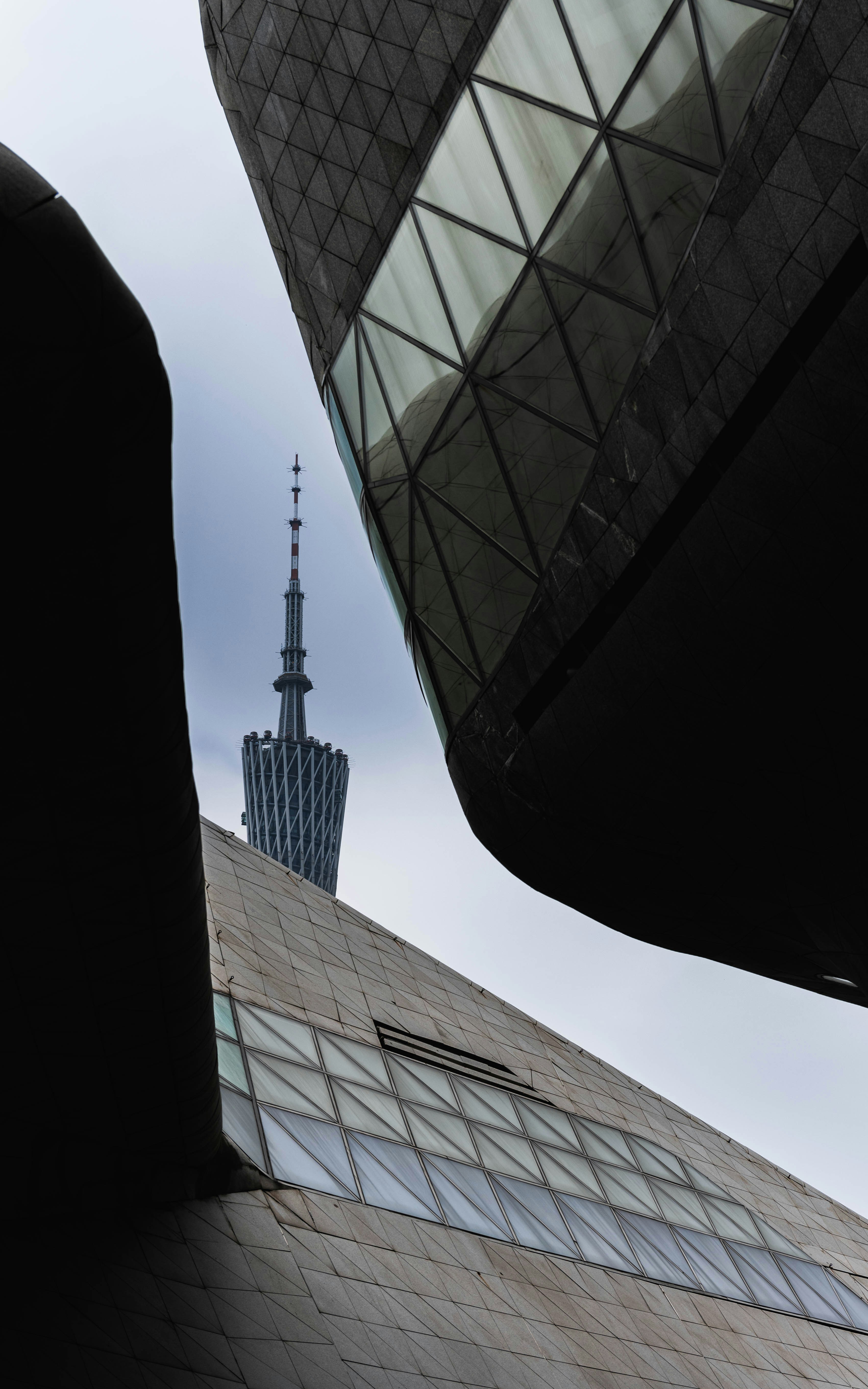 Architectural Contrast: A Glimpse of Innovation