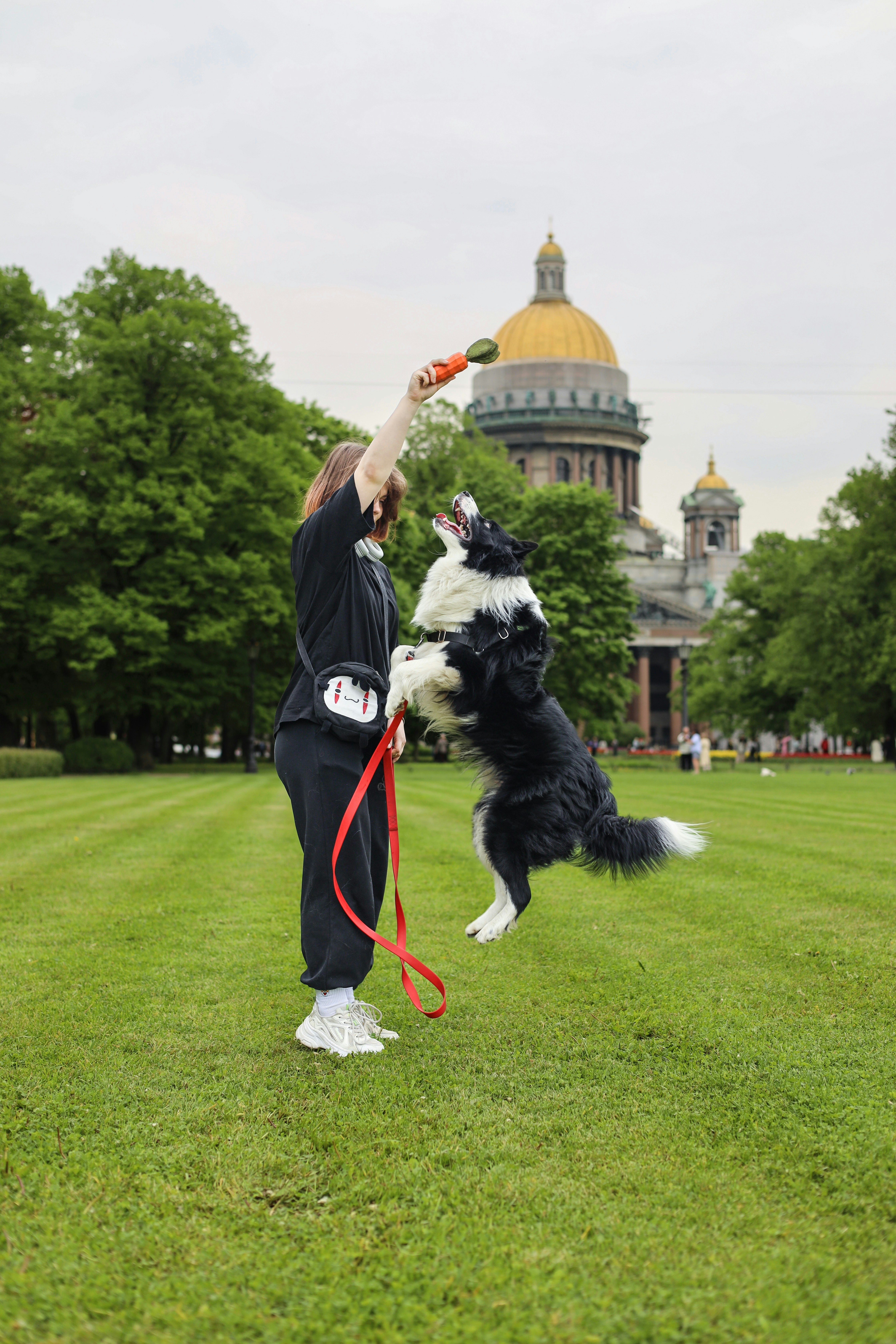 Leap of Joy: A Dog’s Aerial Tug at the Capitol Grounds