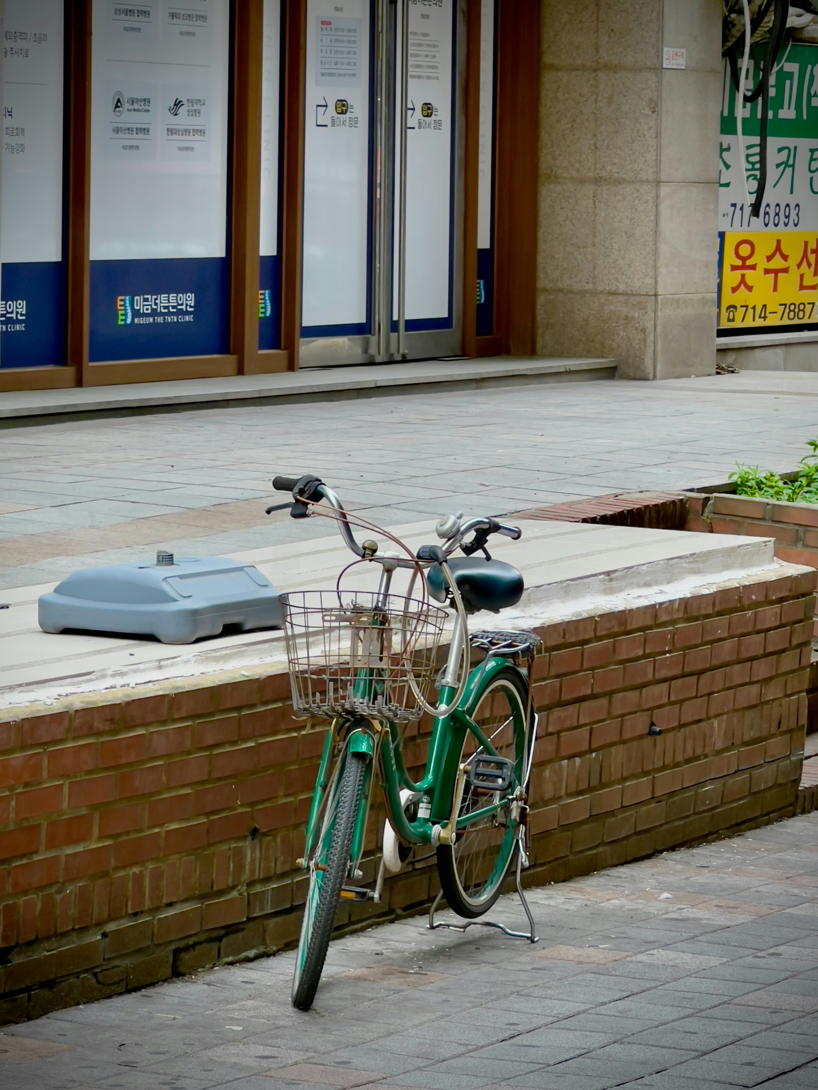 Forgotten Green: A Bicycle's Solitude