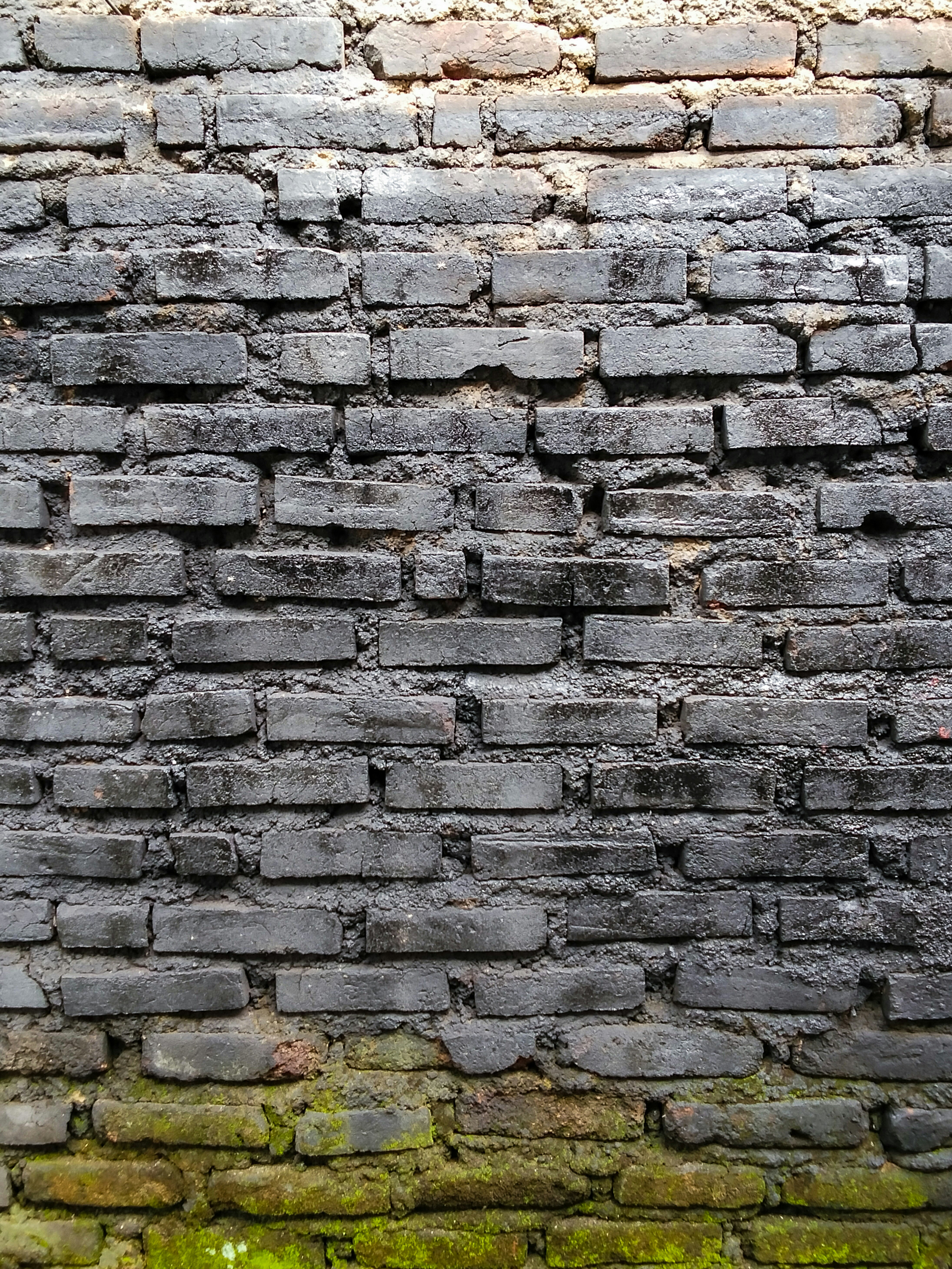 Weathered brick wall showcasing a rich tapestry of textures and colors, accented by patches of moss. 