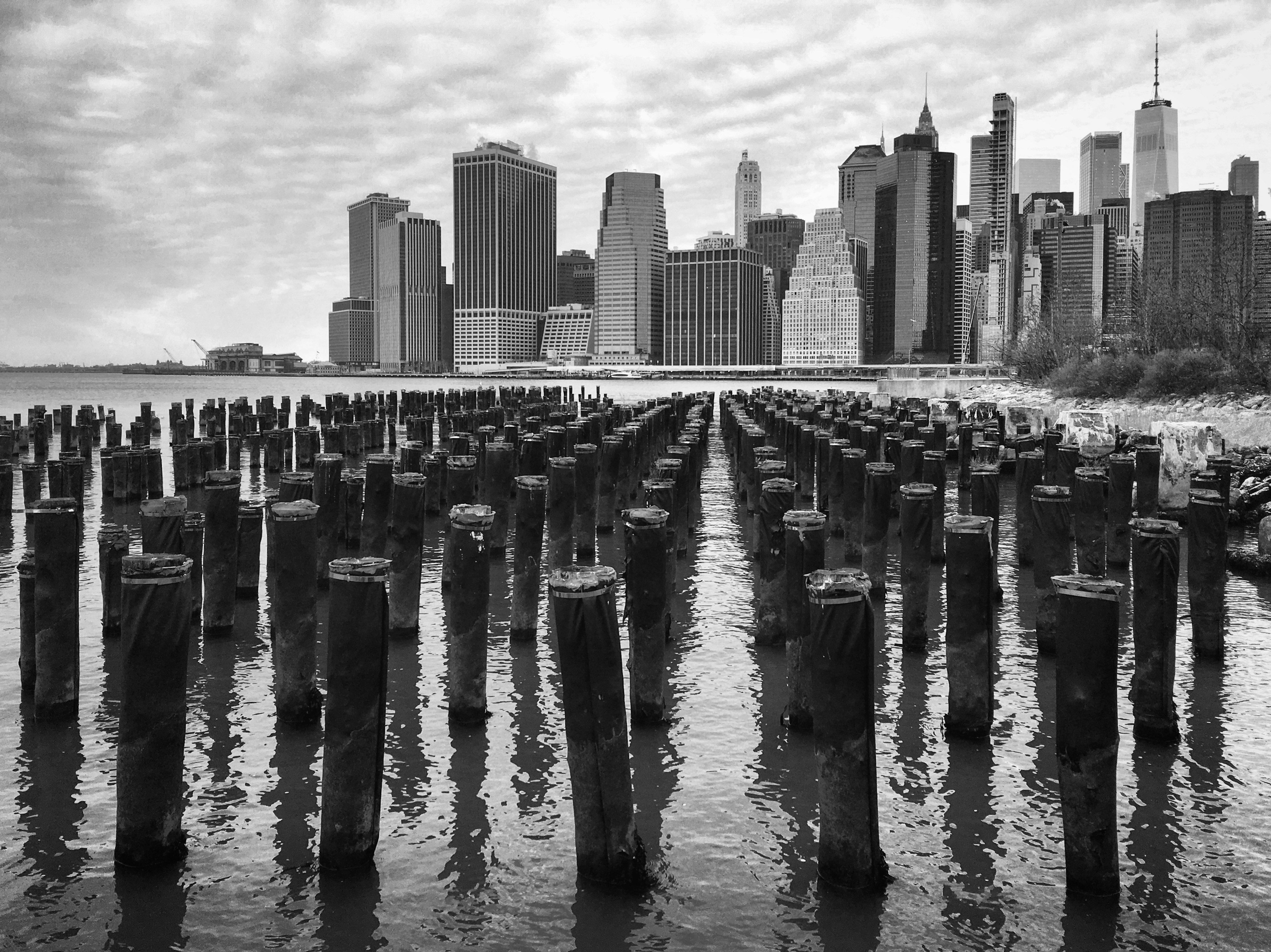 Convergence at the Pier: A Grid of Weathered Piles Framing the City Skyline