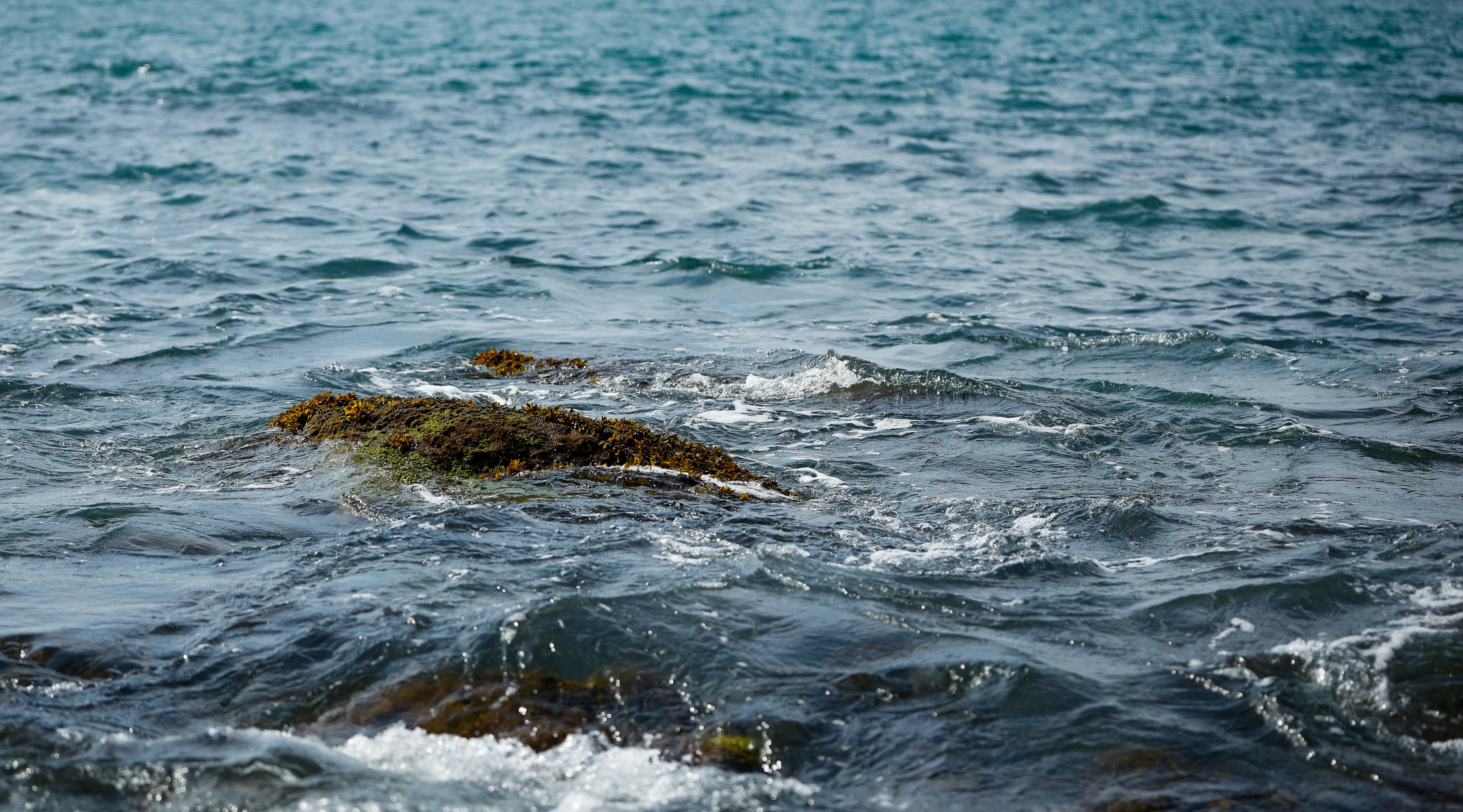 Whispers of the Tides