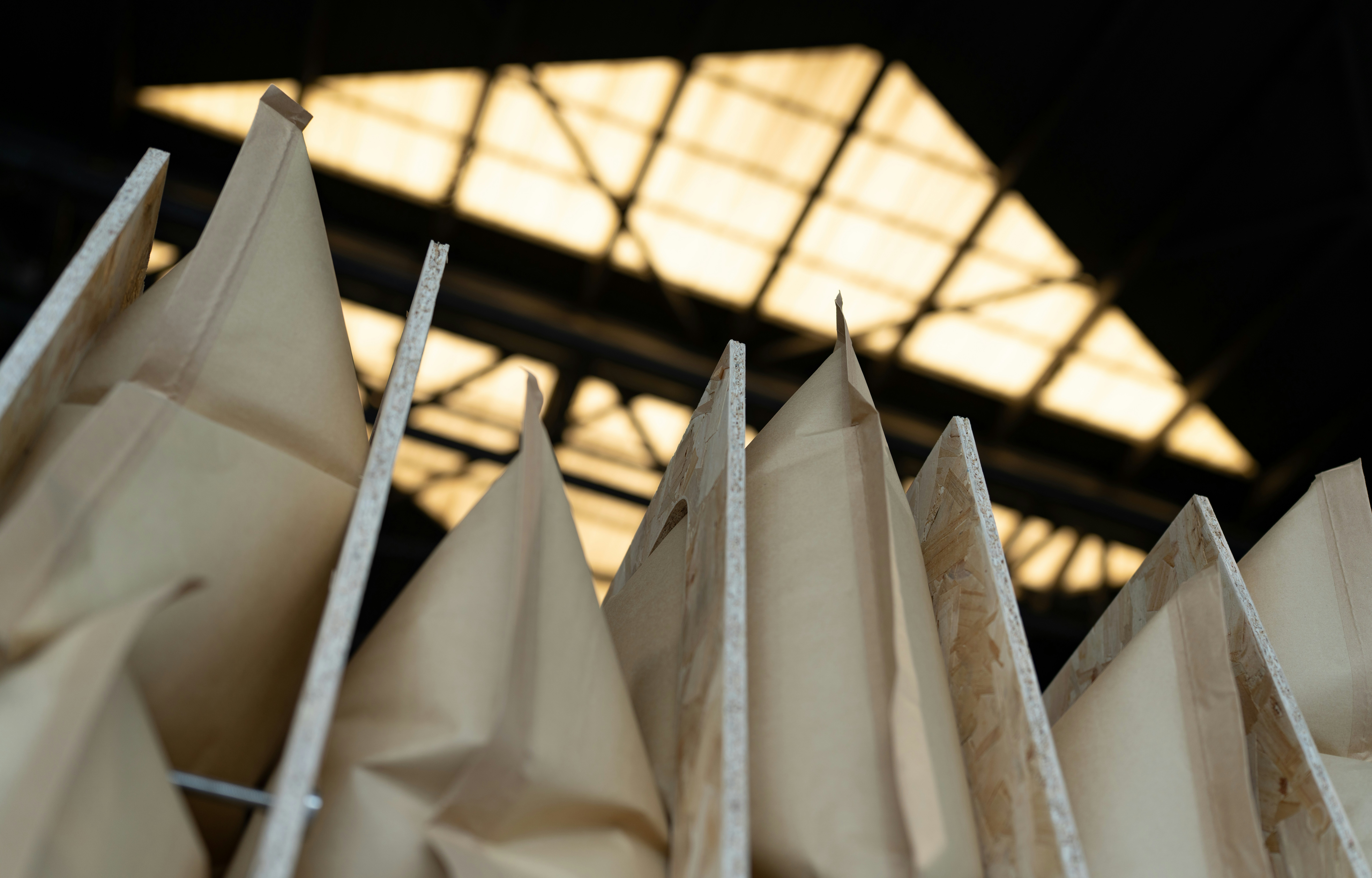 Sunlit Ribs and Quiet Folds: A Gallery of Beams