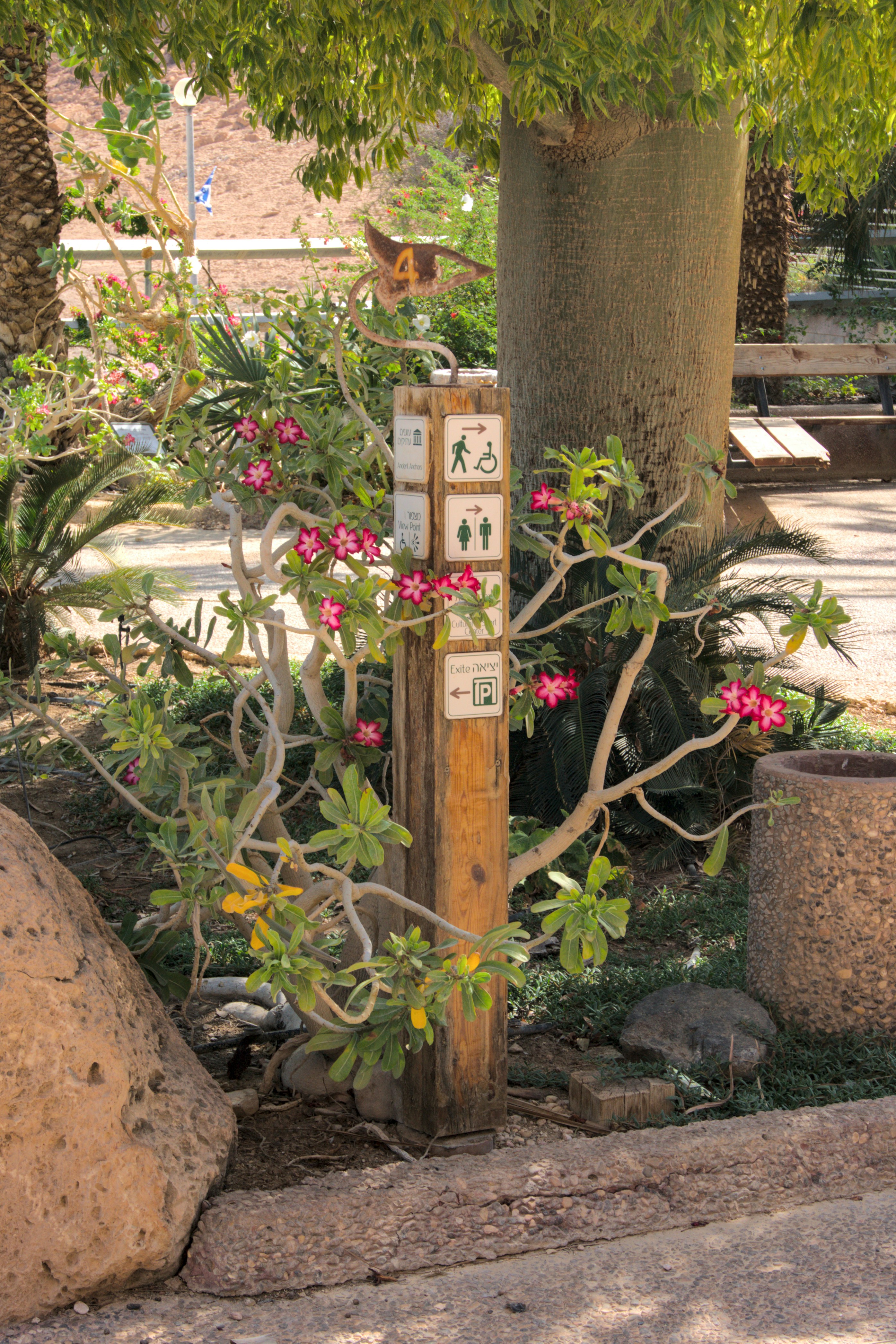 Photo by Gleb Shvartser with Sony Alpha A450