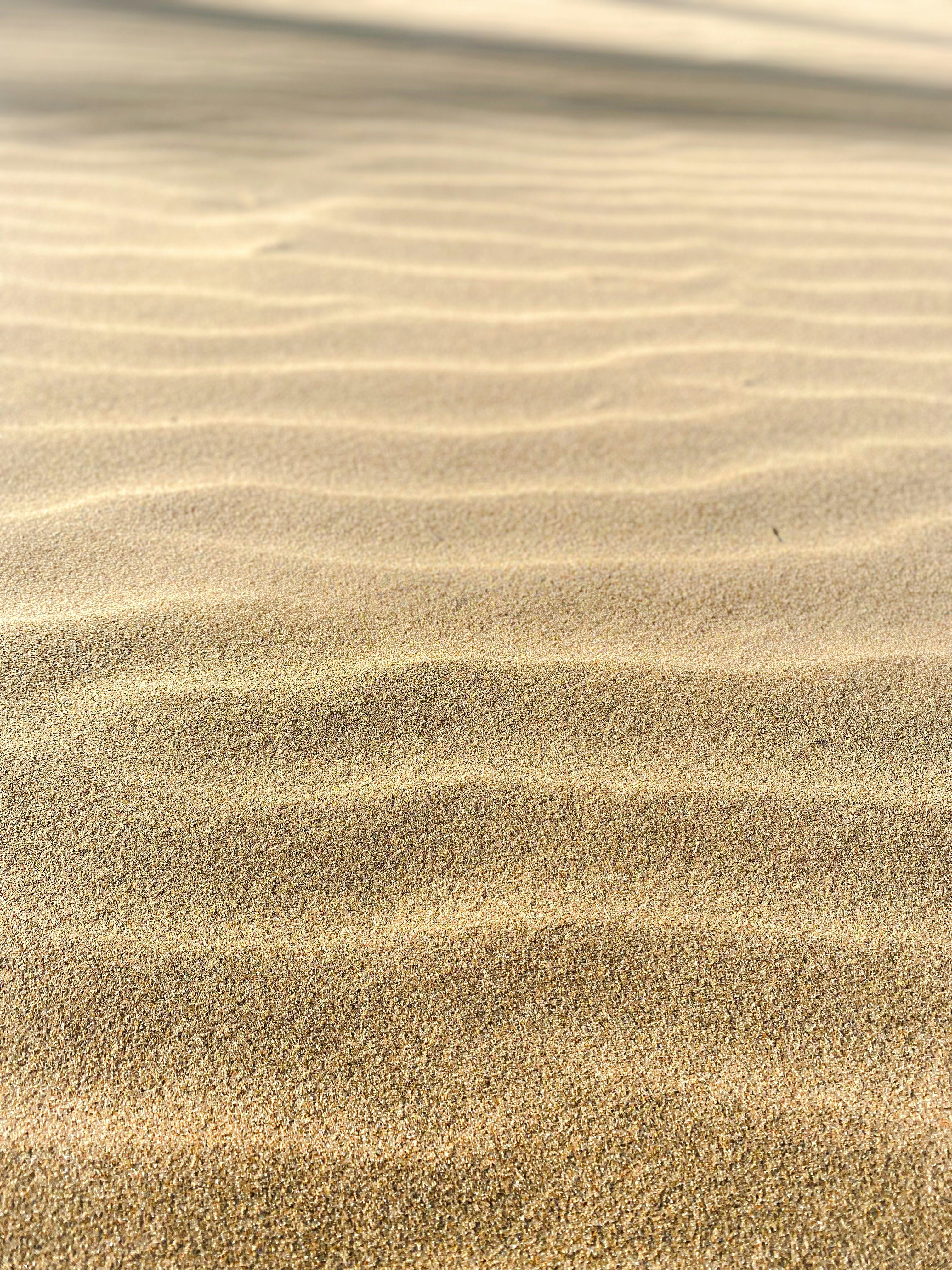 Wind-swept sand dunes create a beautiful texture. photo – Free Beach ...
