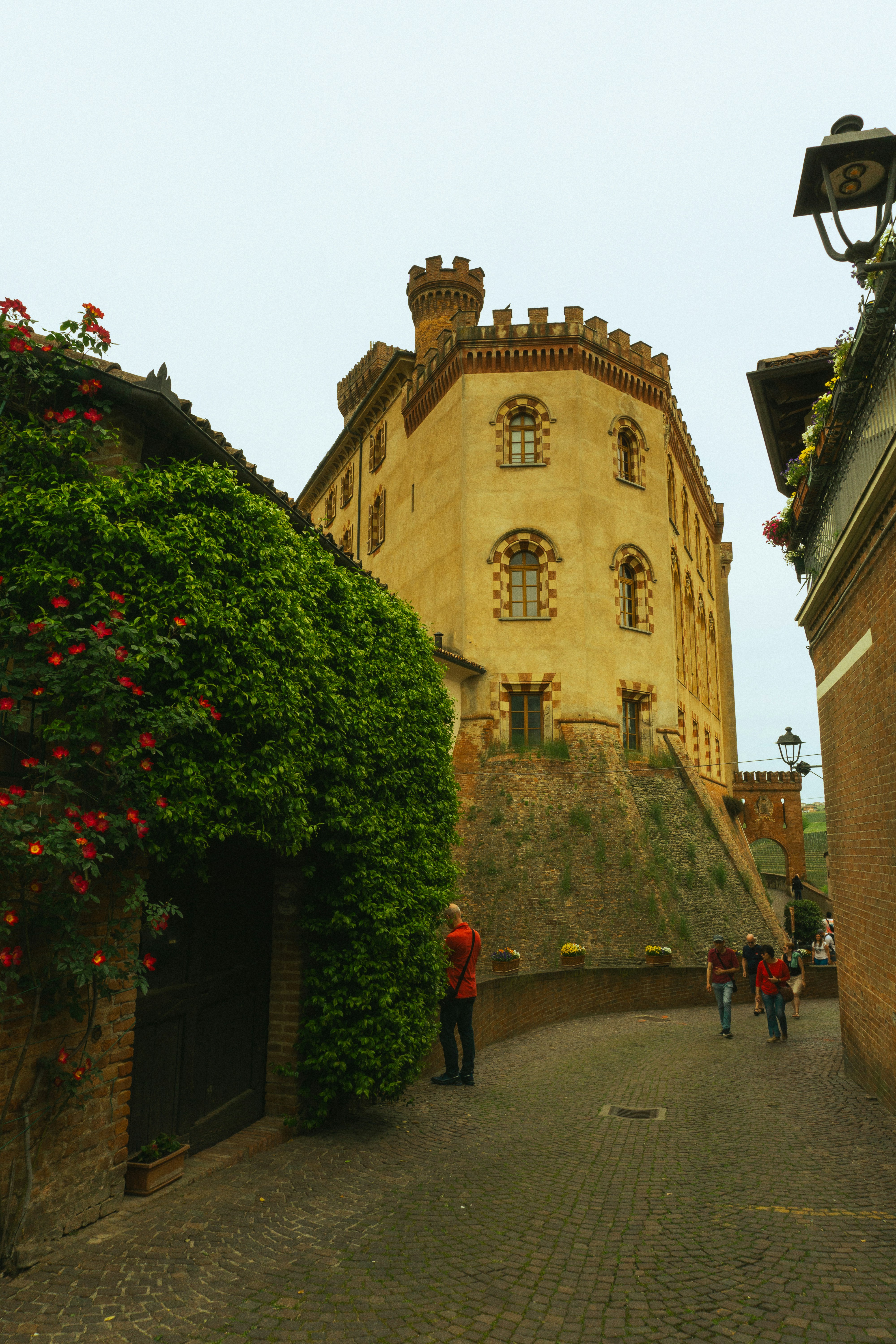 Whispers of History: The Enigmatic Castle in the Alleyway