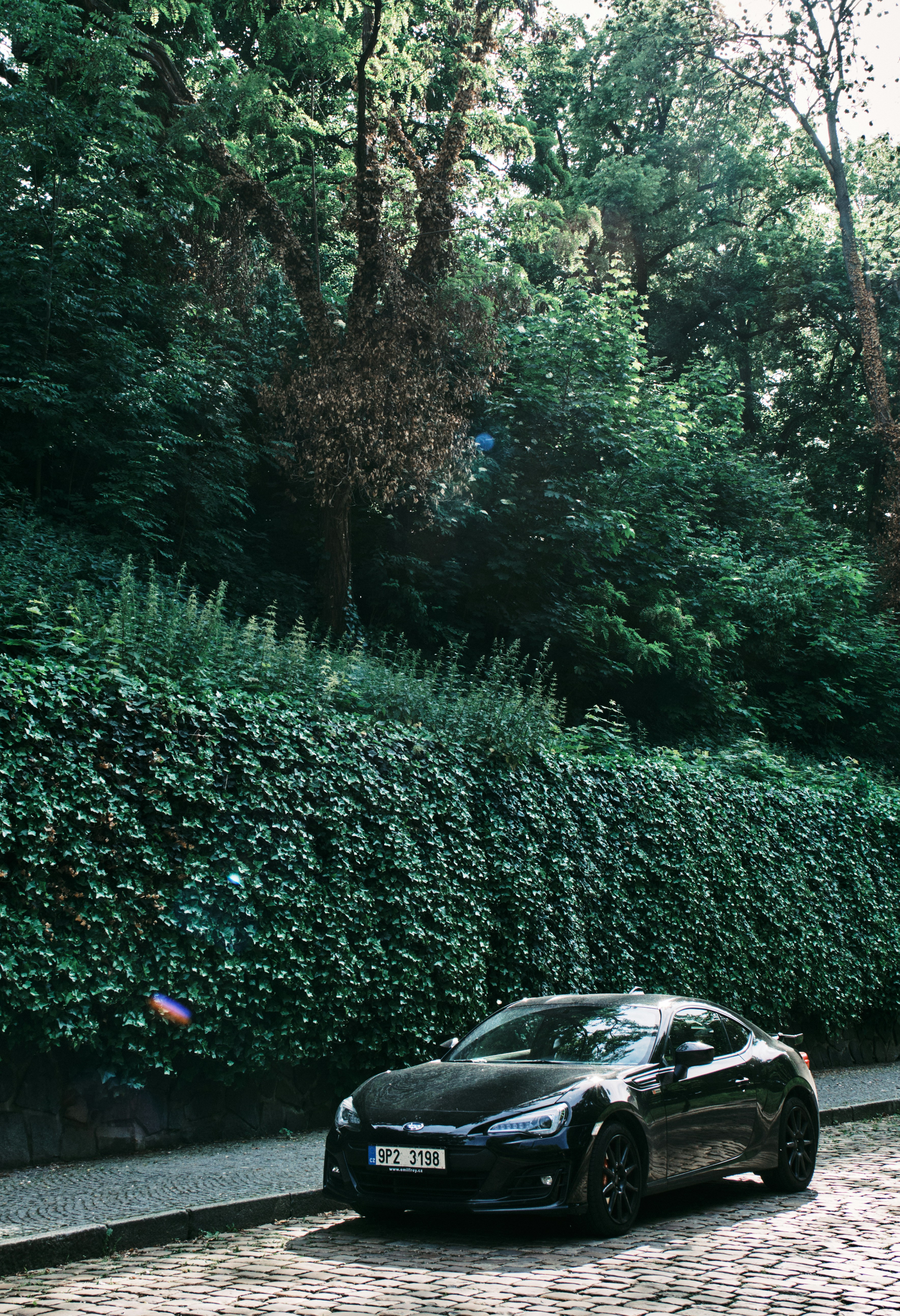 Shadowed Black Coupe on a Cobblestone Lane Fringed by Ivy