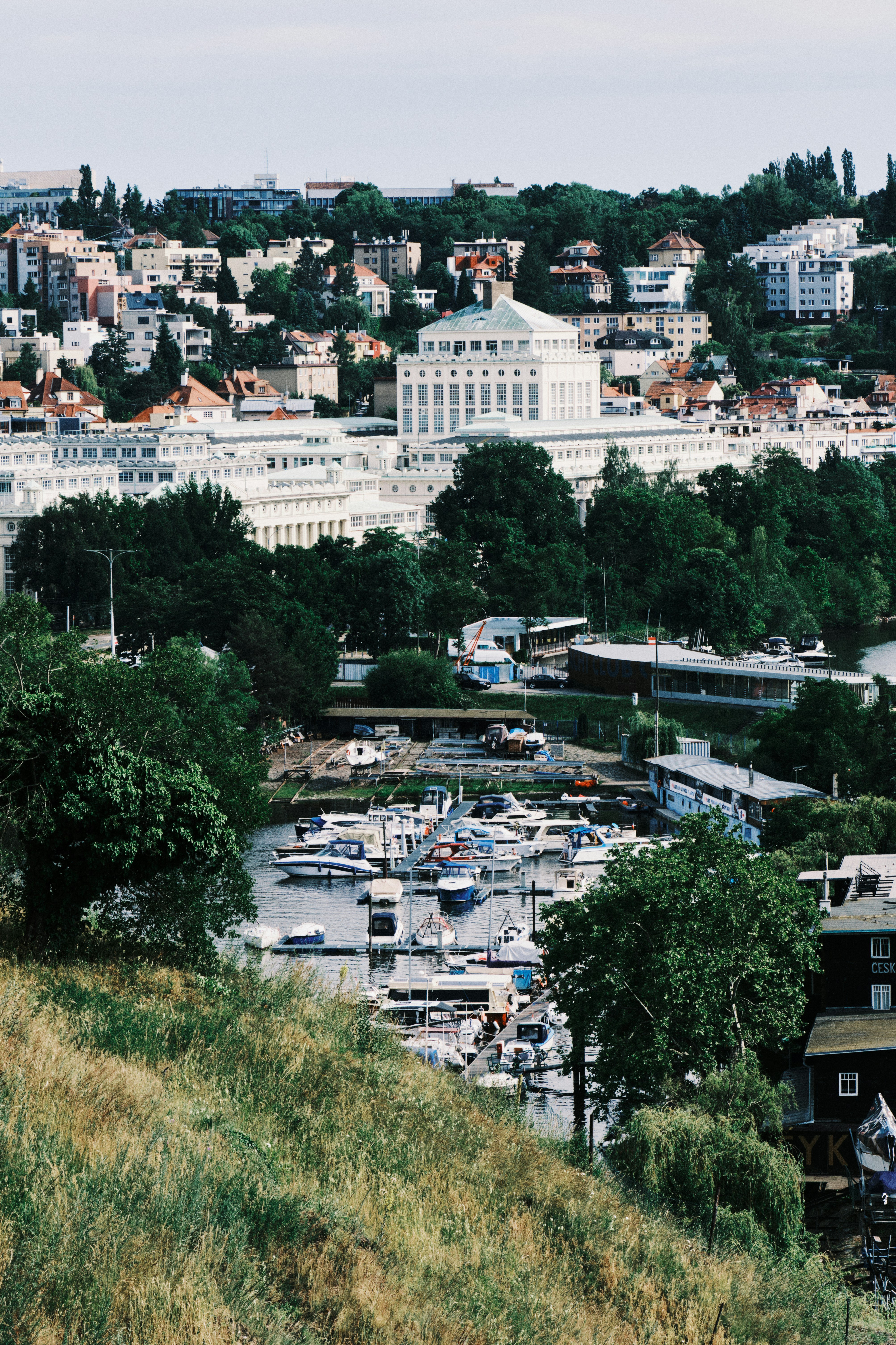 Urban Serenity: A Harbor's Embrace