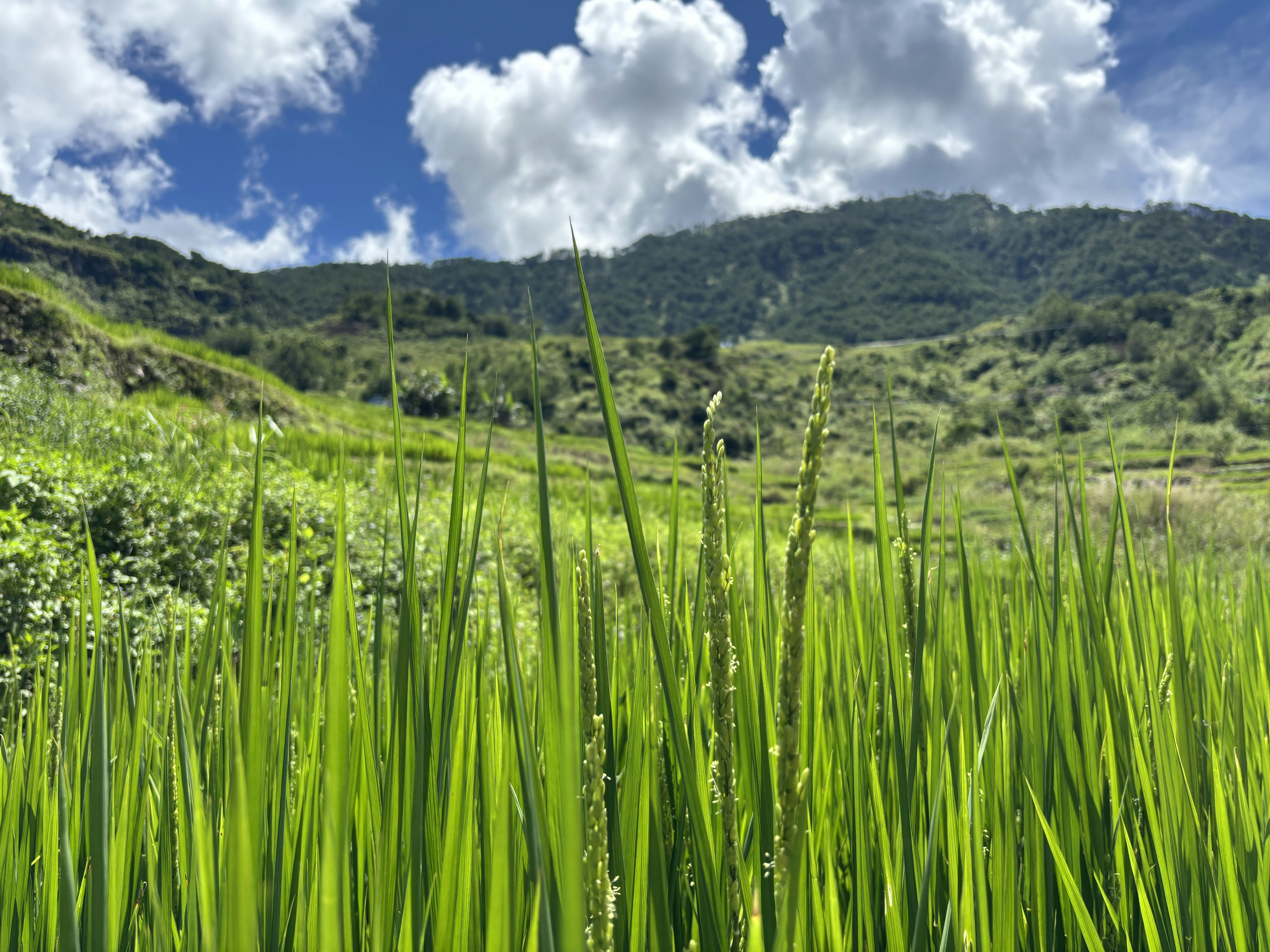 Photo by Rovi Galvez with Apple iPhone 15