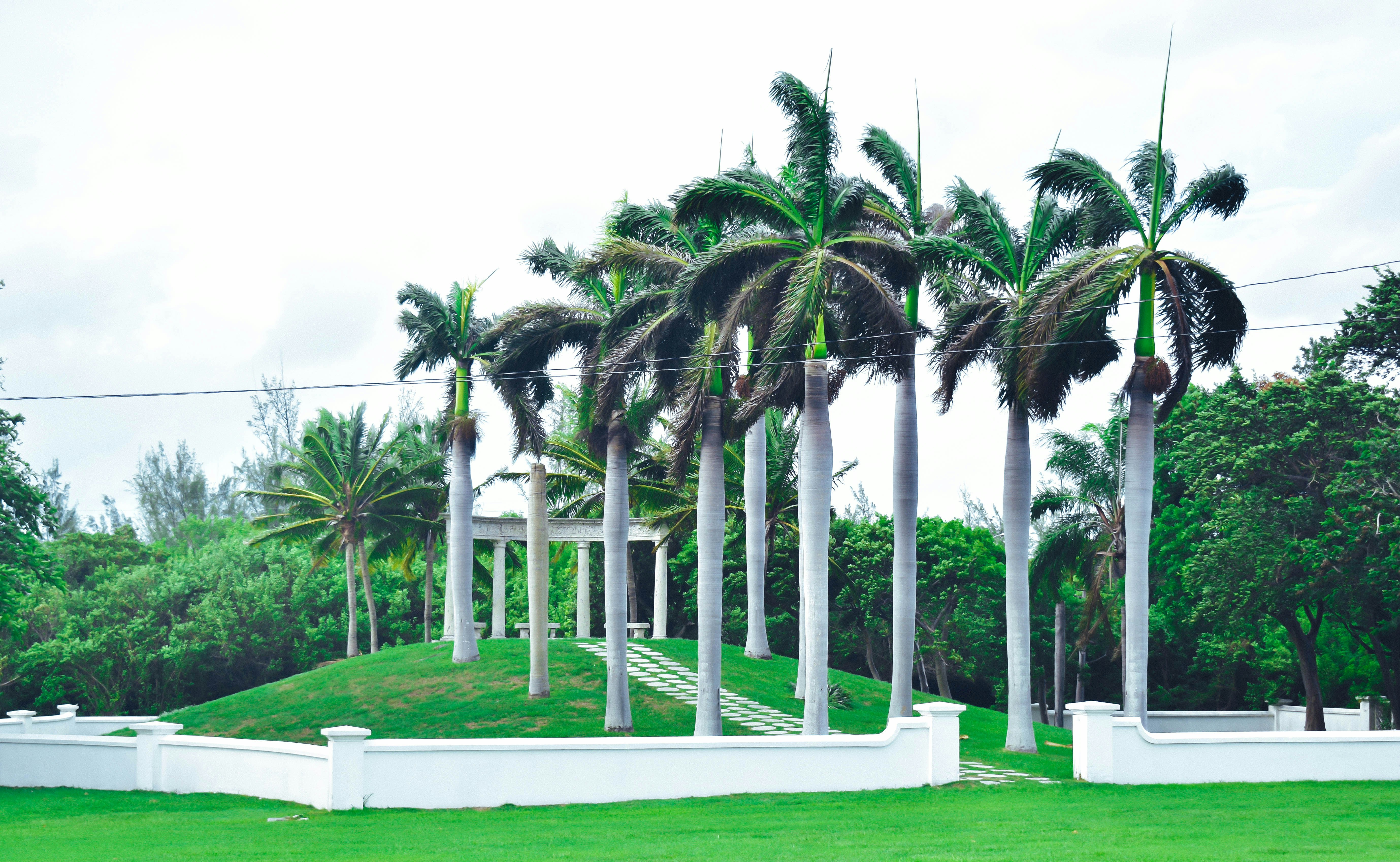 Arawak Lens (@arawaklens) | Unsplash Photo Community