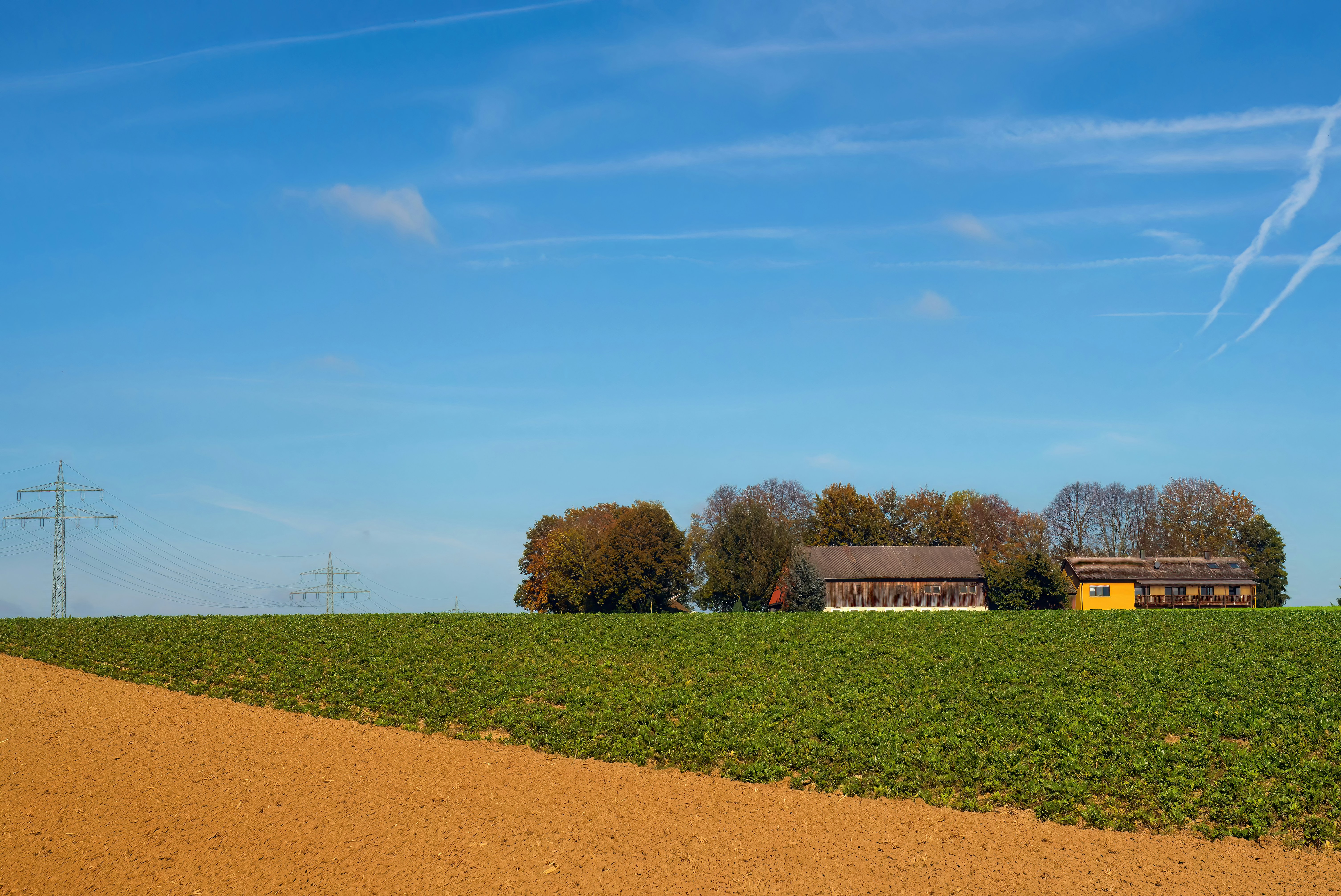 Two big farm houses behind a green agriculture field,shot from a public place.