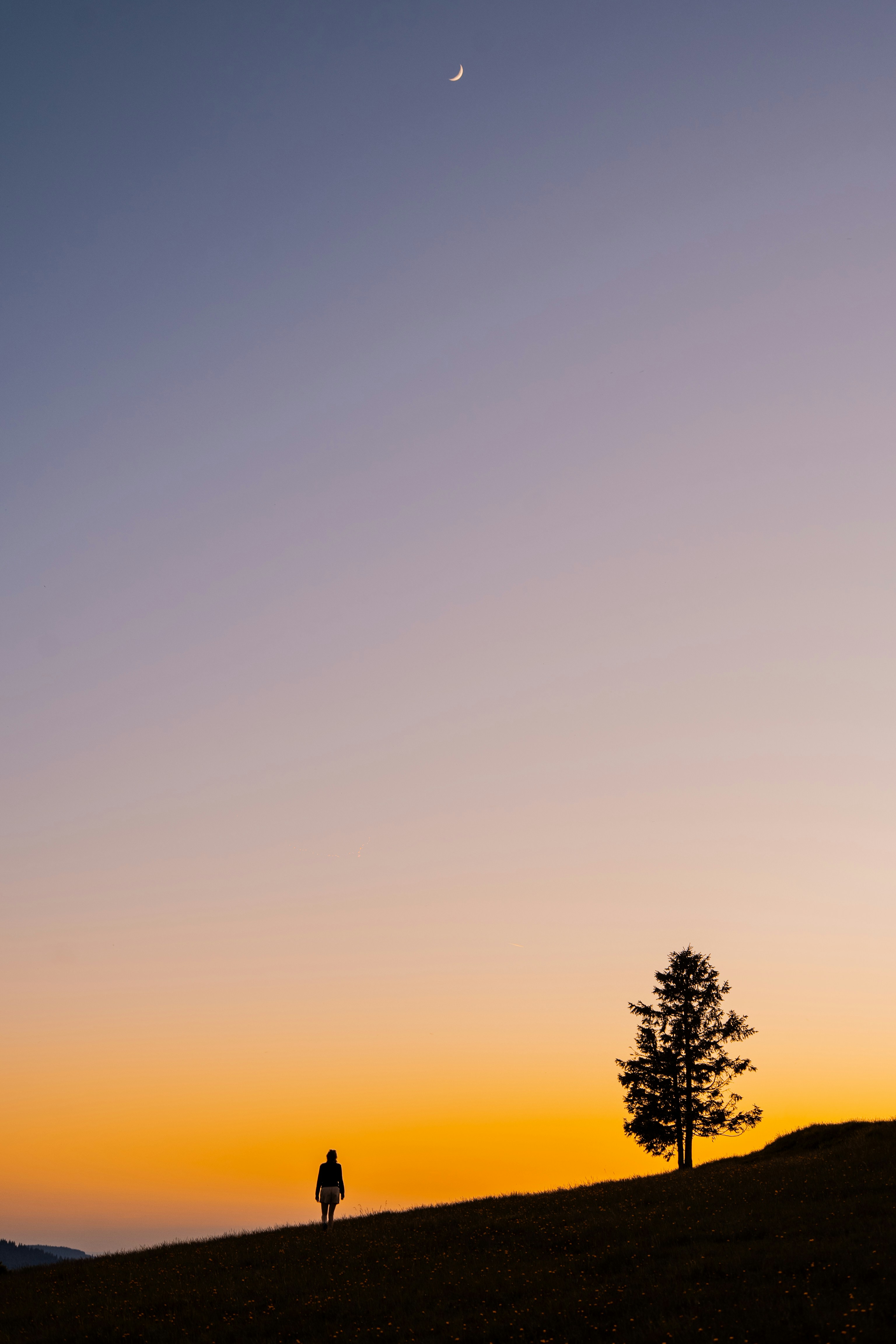 Dusk Silhouette: Lone Figure on a Quiet Hill Under a Crescent Sky