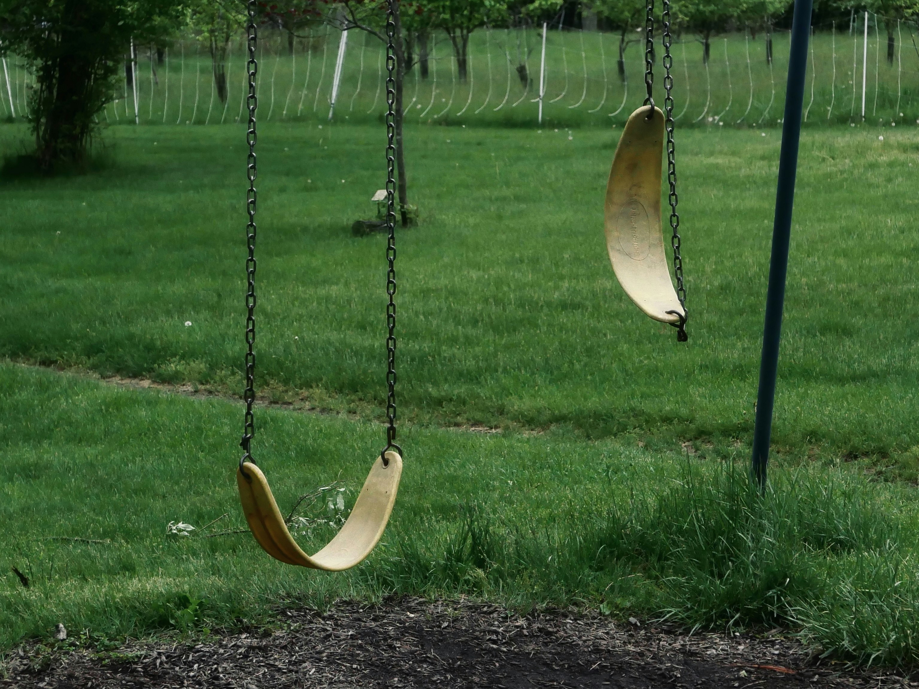 Two empty swings hang in a grassy park.