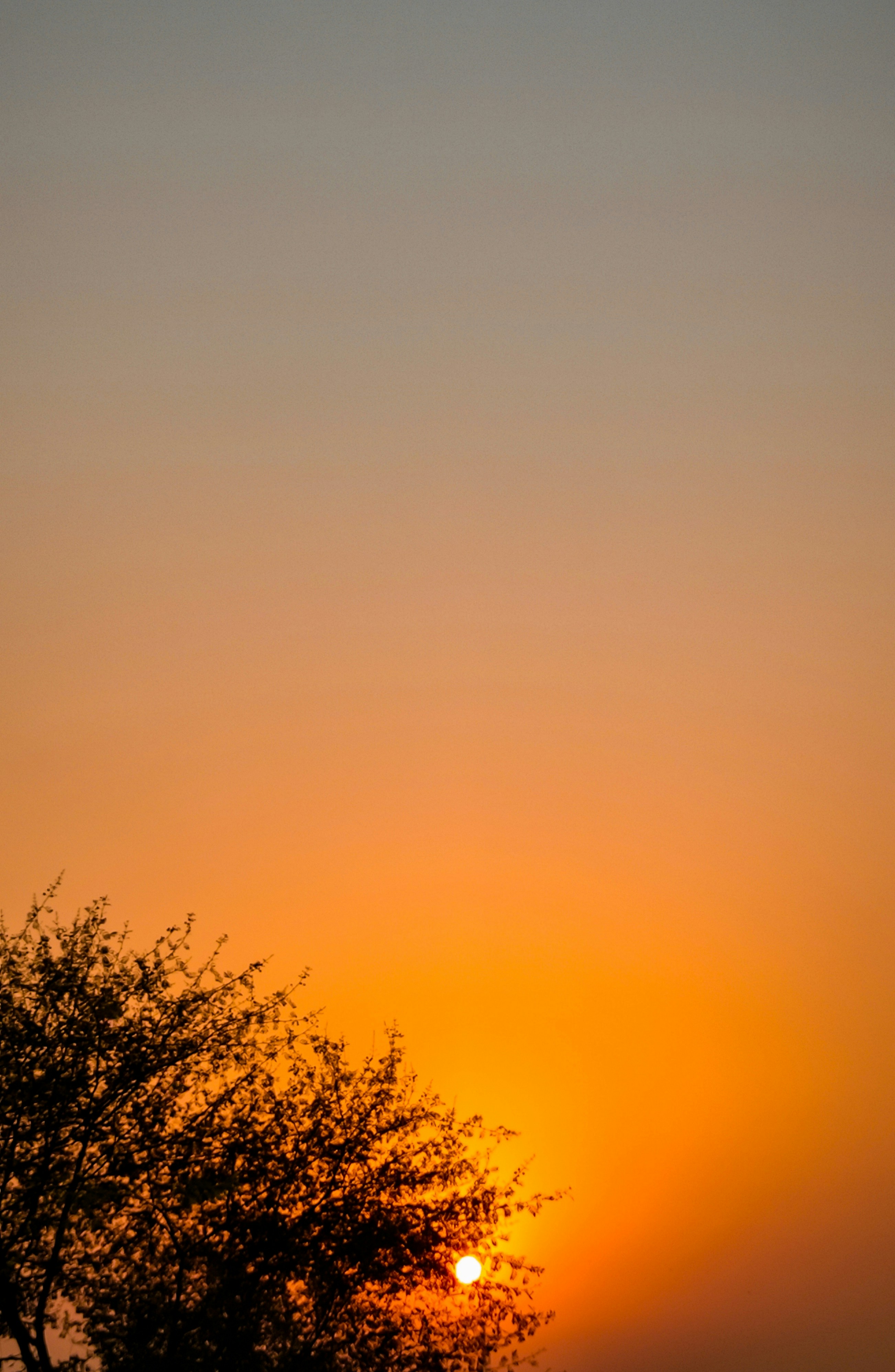 Whispers of Dusk: A Solitary Sunset