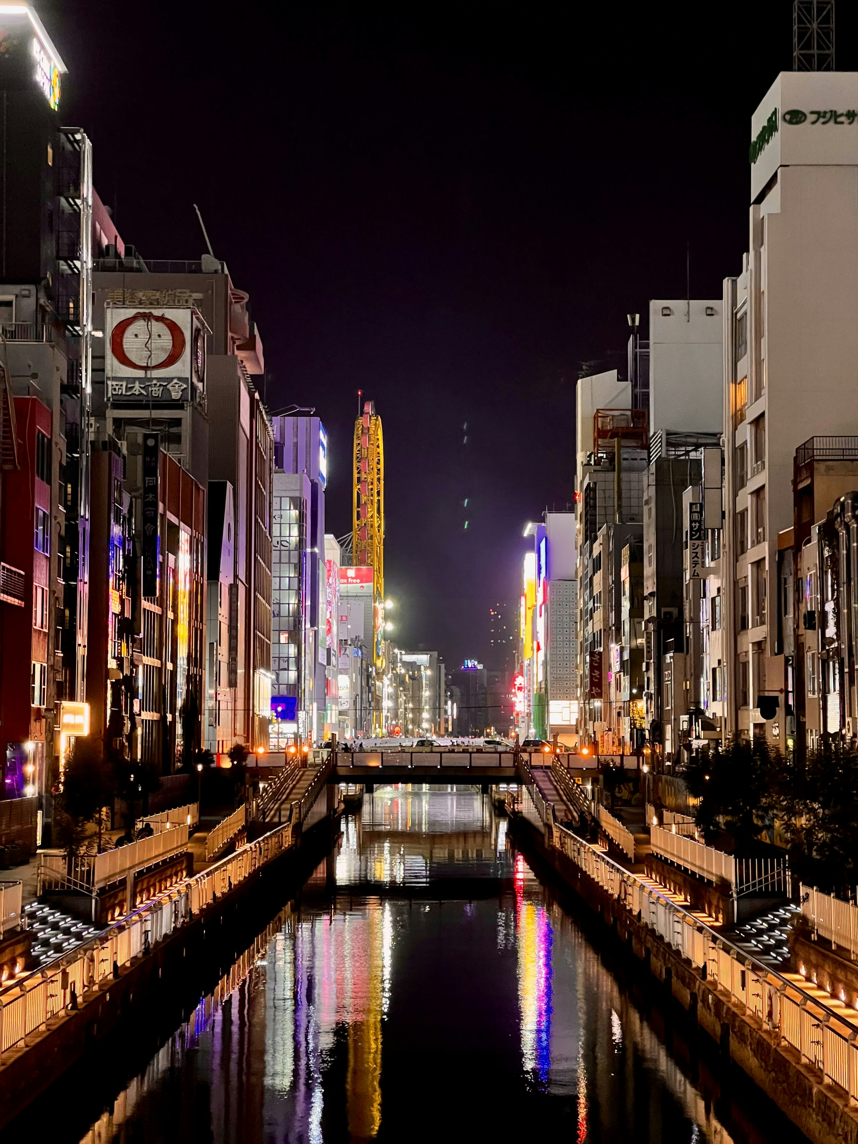 Neon Reflections: A Night in the Urban Jungle