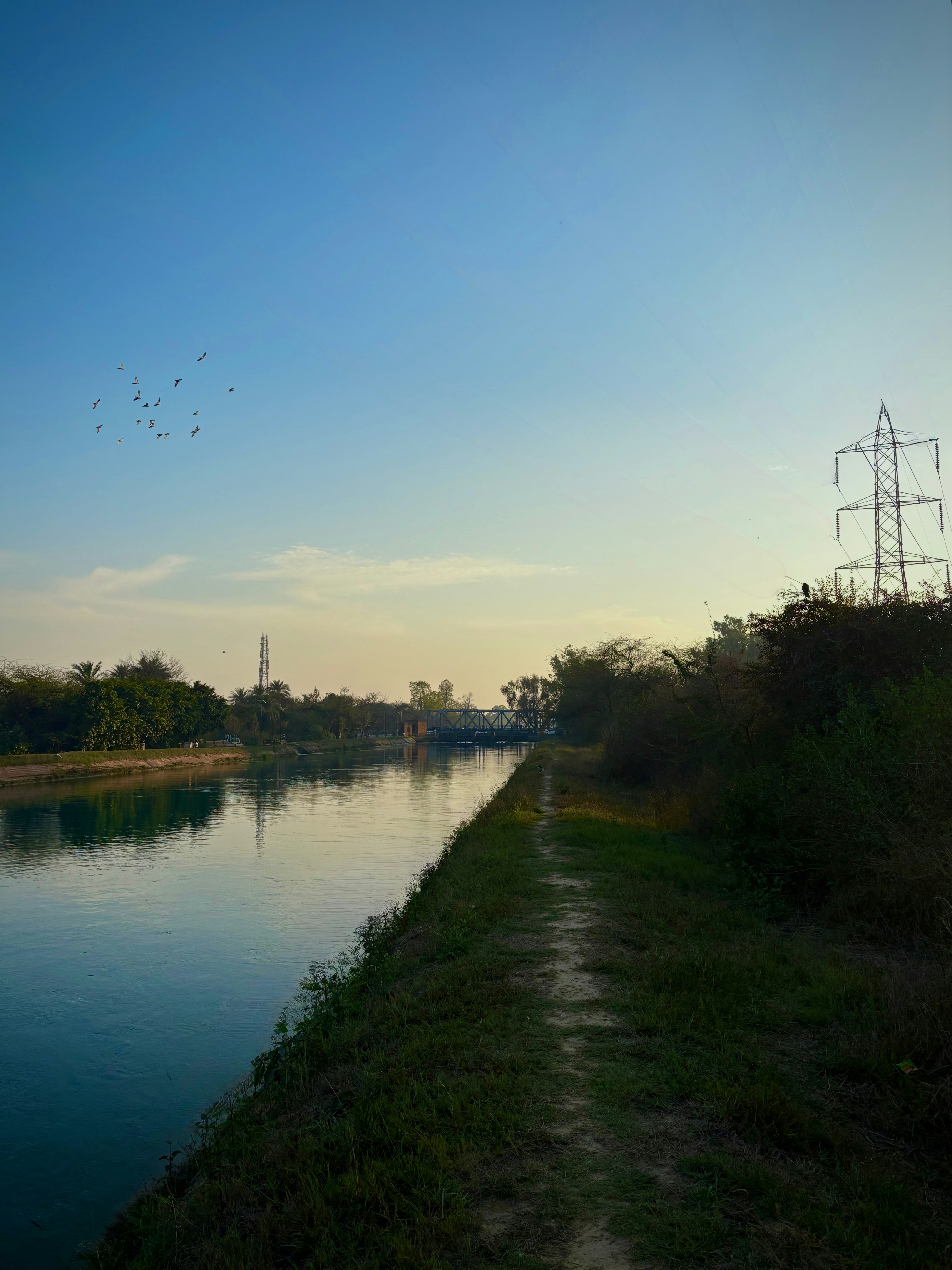 Serene riverbank path bordered by lush greenery, with a bridge in the distance and birds flying overhead. The scene captures a peaceful moment in nature.