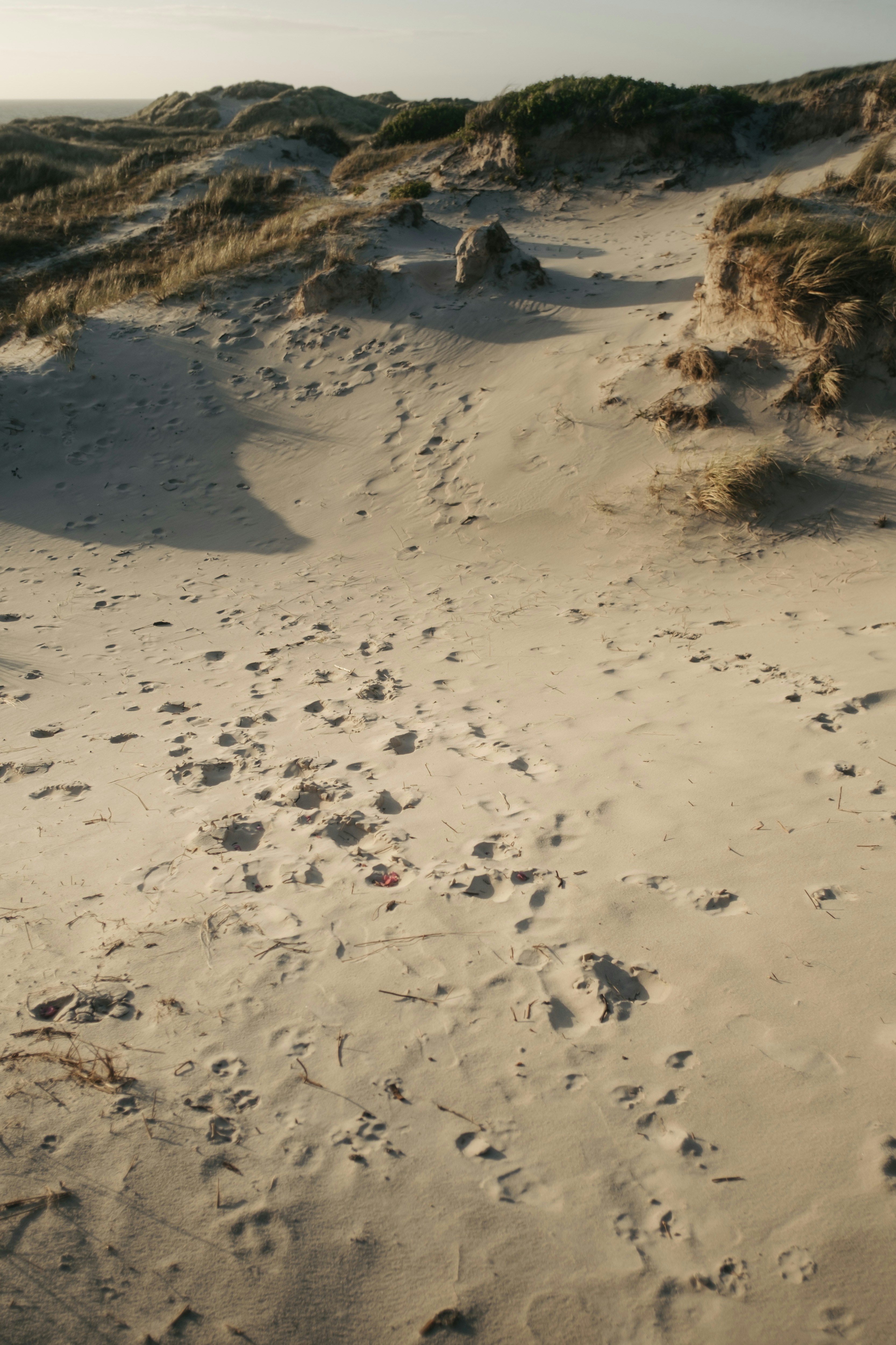 Whispers of the Dunes: A Footprint Chronicle
