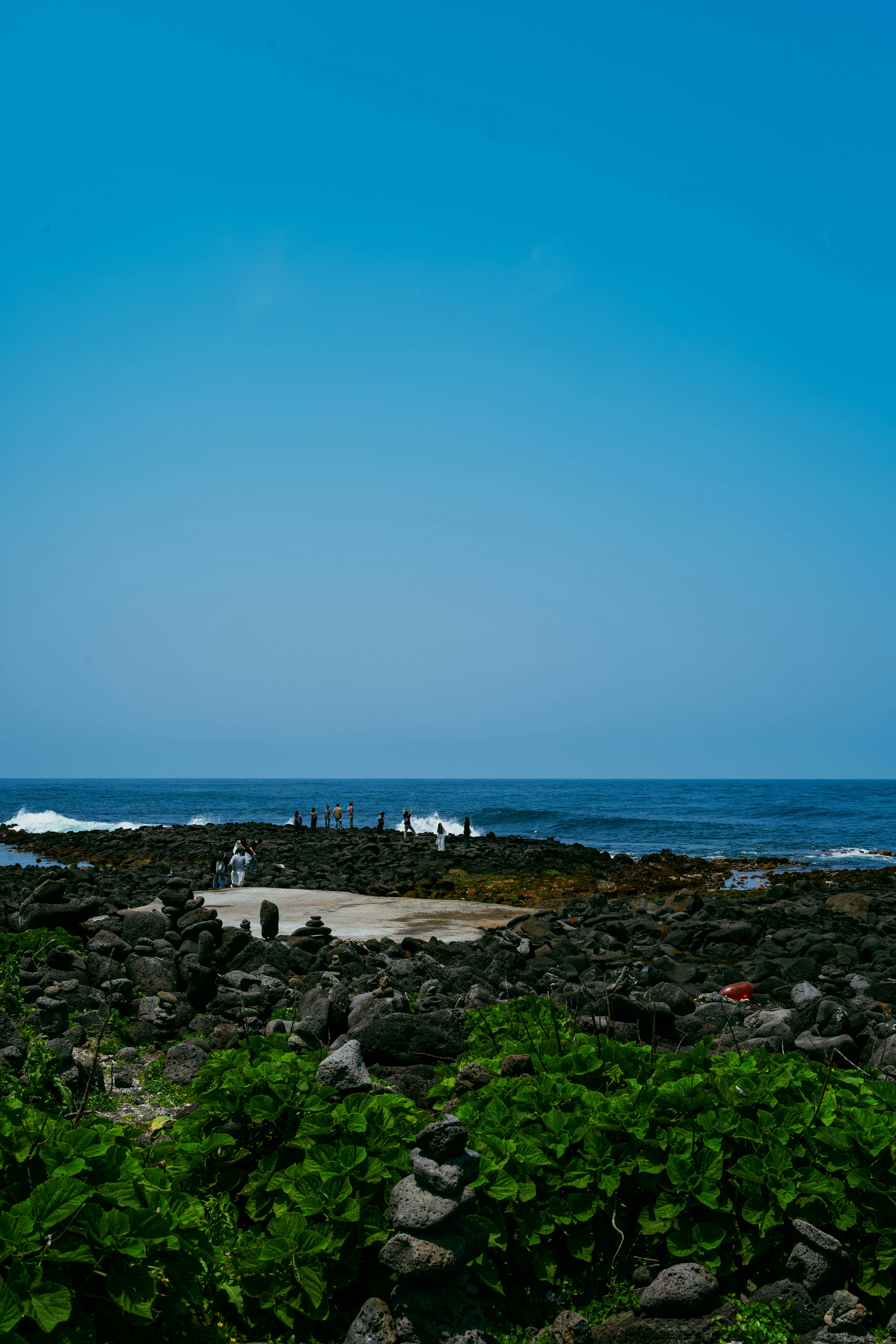 Harmony of Nature and Humanity at the Shoreline