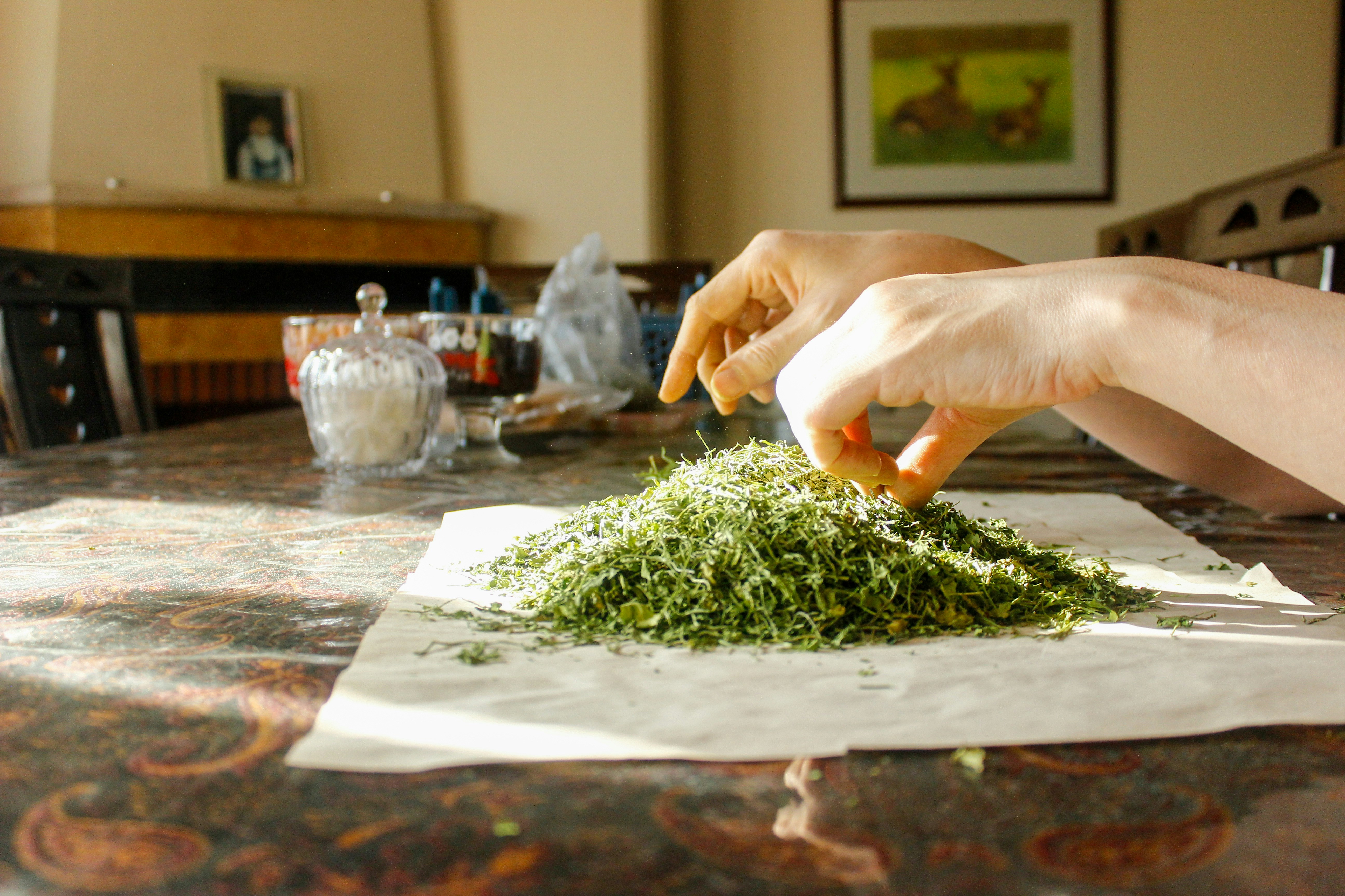 Dill Cascade on White Paper under Warm Indoor Light