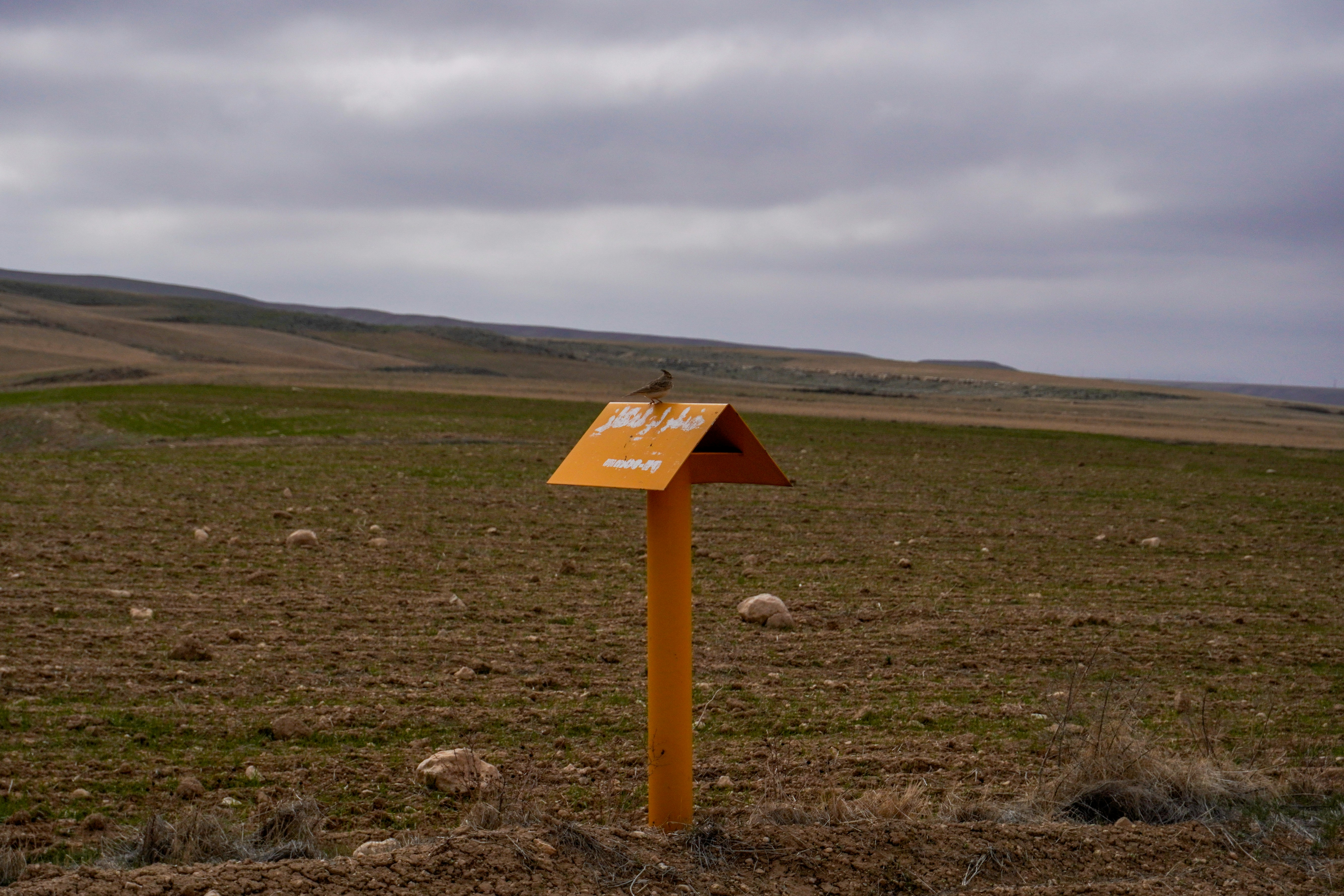 Orange Waymark Against a Quiet Prairie Under Cloudy Skies