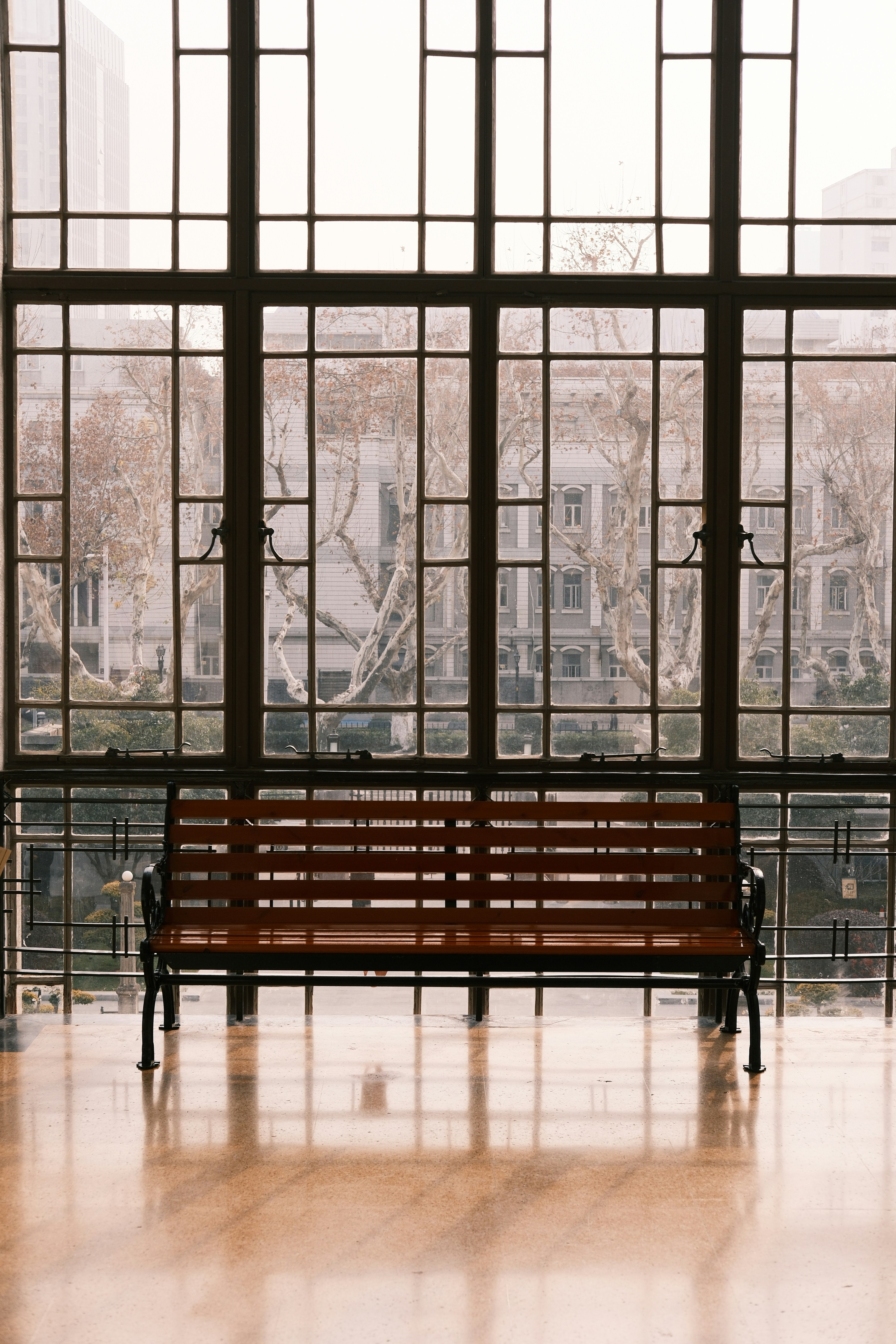 Sunlit Quiet: A Bench Beneath the Grid of Windows