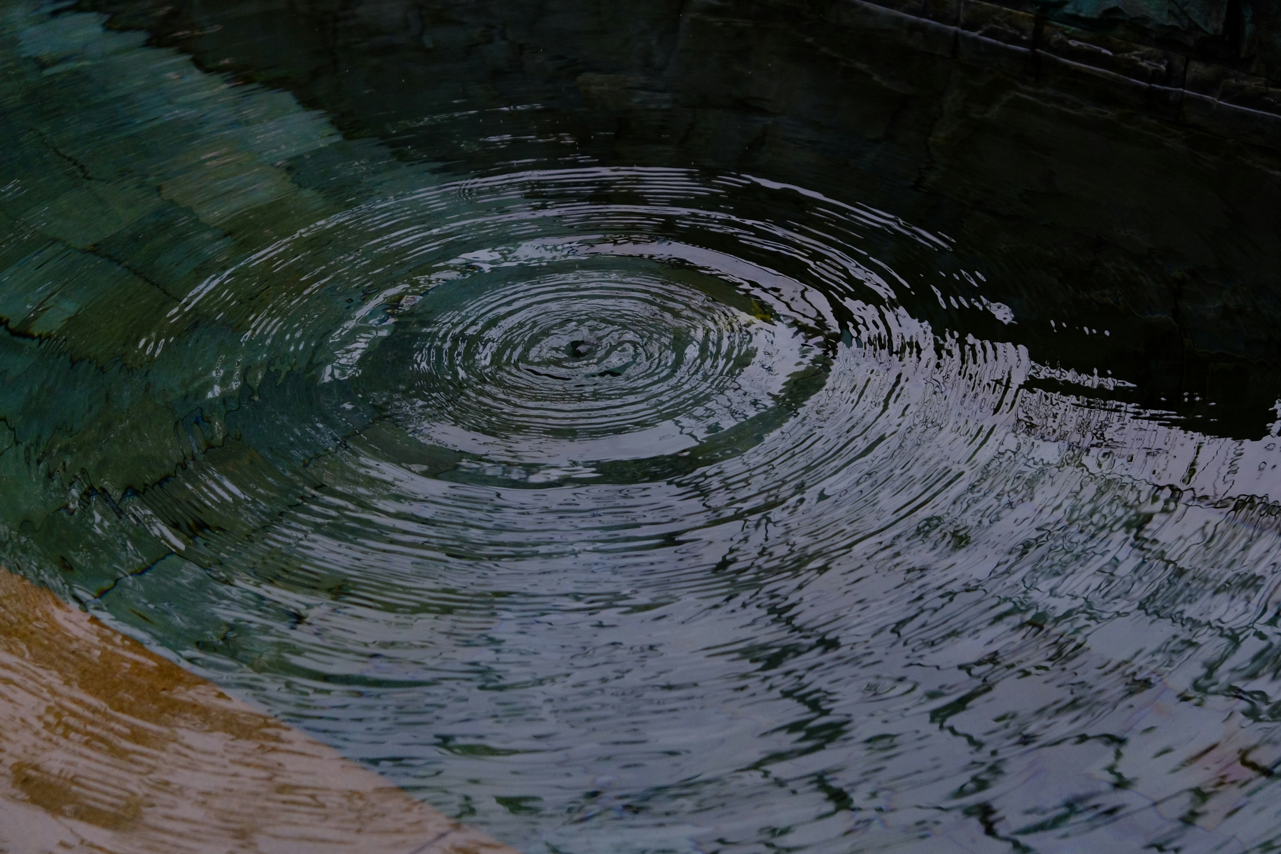 Ripples radiate across the water's surface.