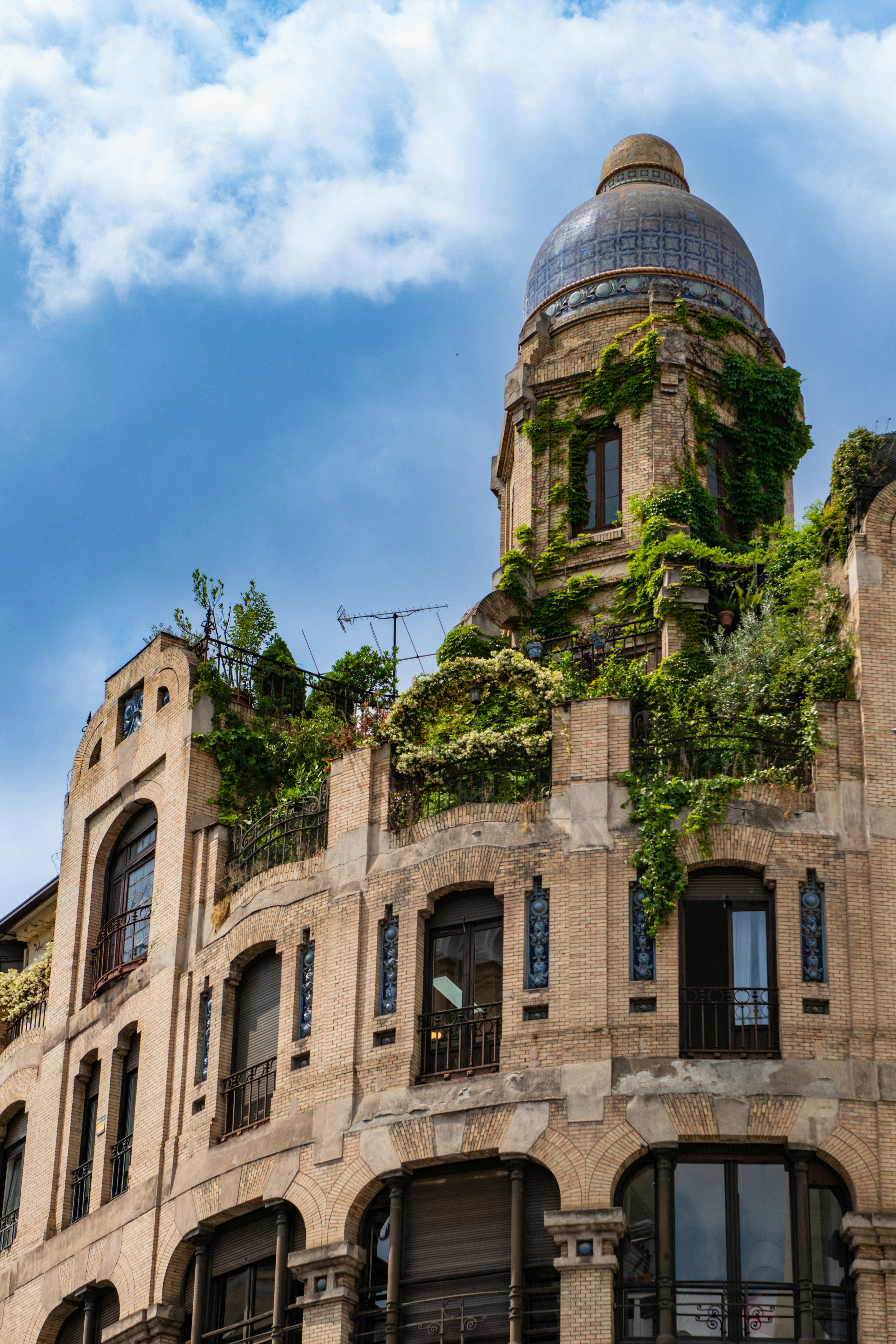  ivy-clad dome over a brick atelier of a sunlit terrace