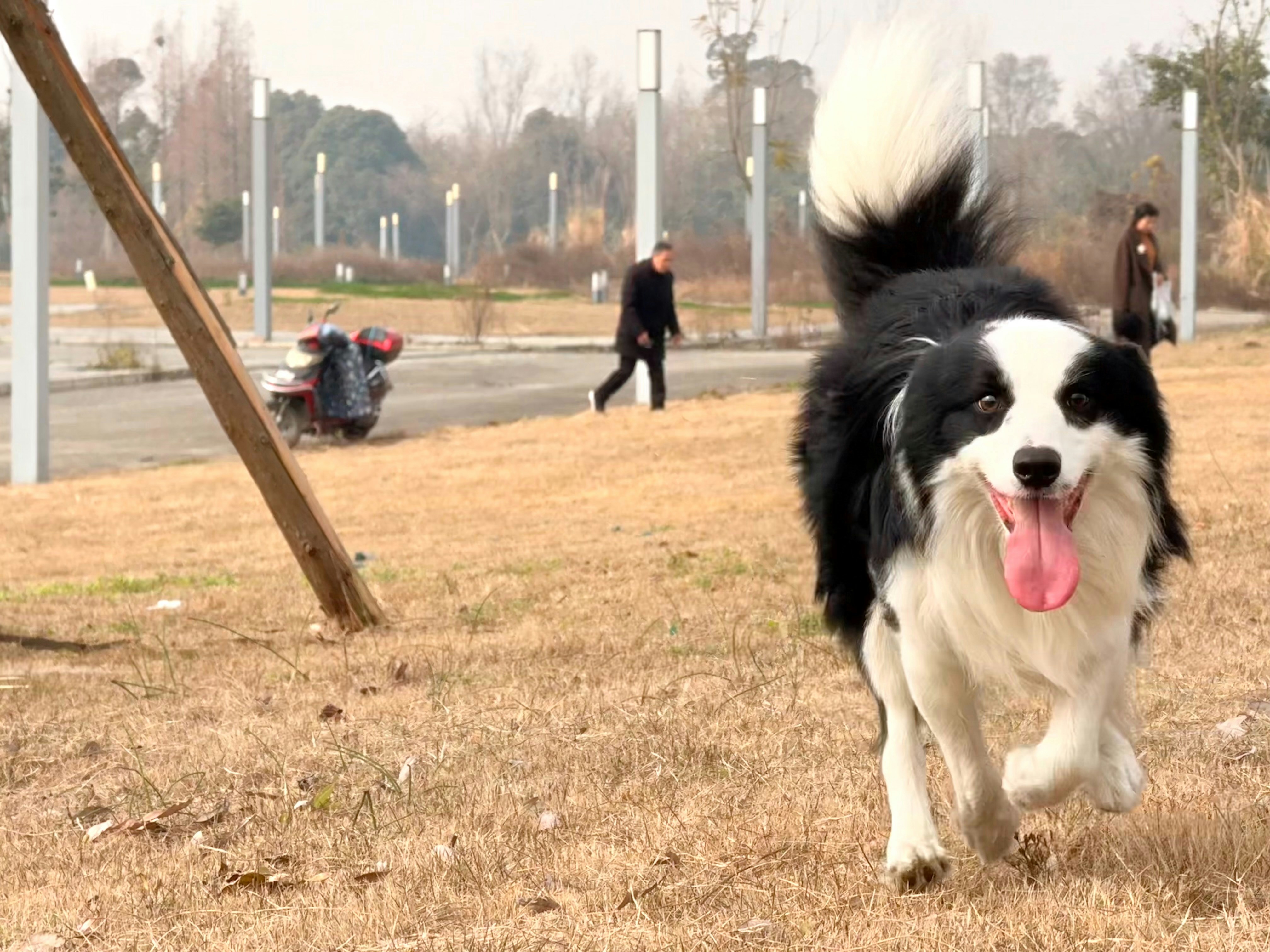 Feliks Zeng (@felikszeng) | Unsplashフォトコミュニティ