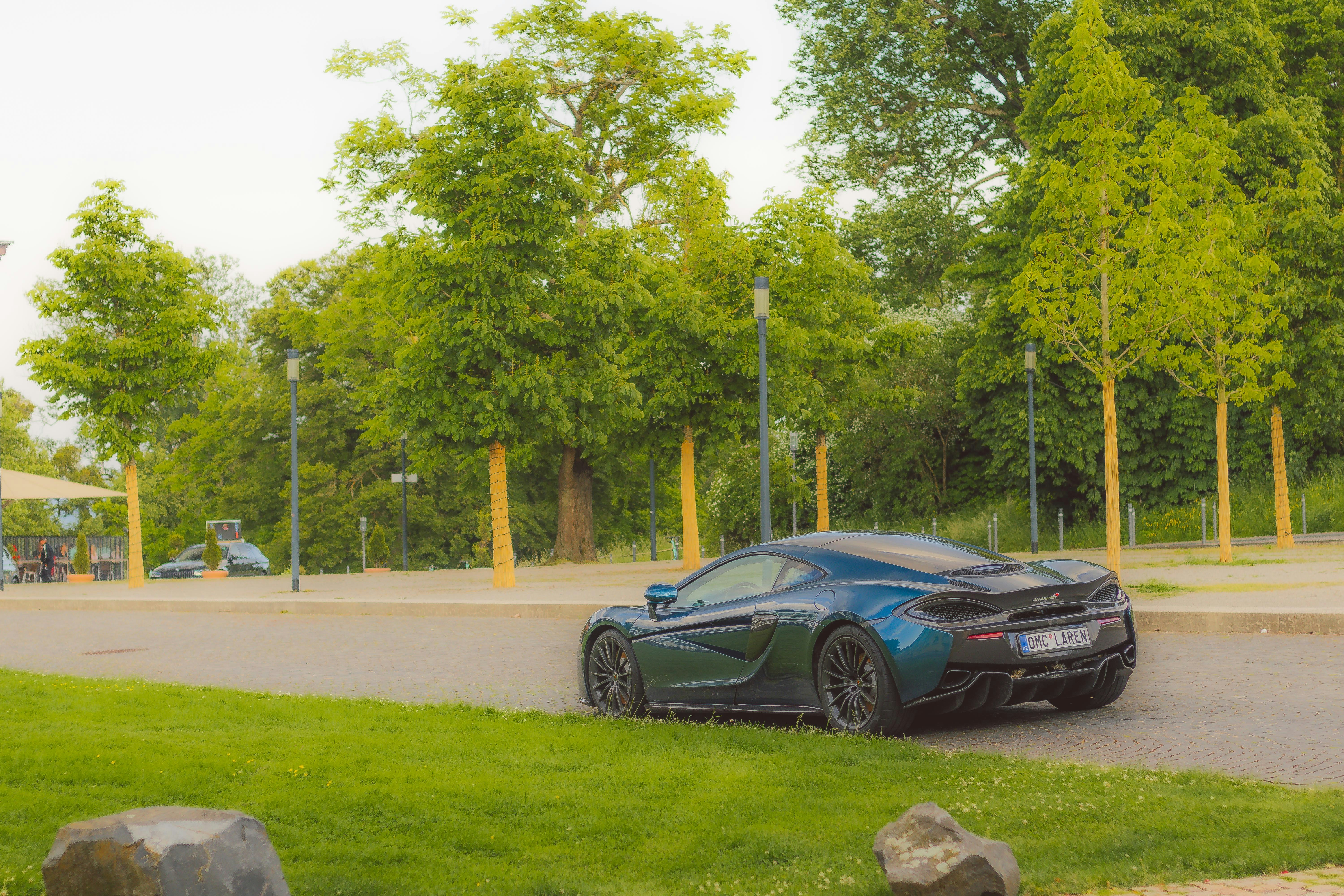 Copper Blue Mirage: A Sports Coupe Pauses by the Park