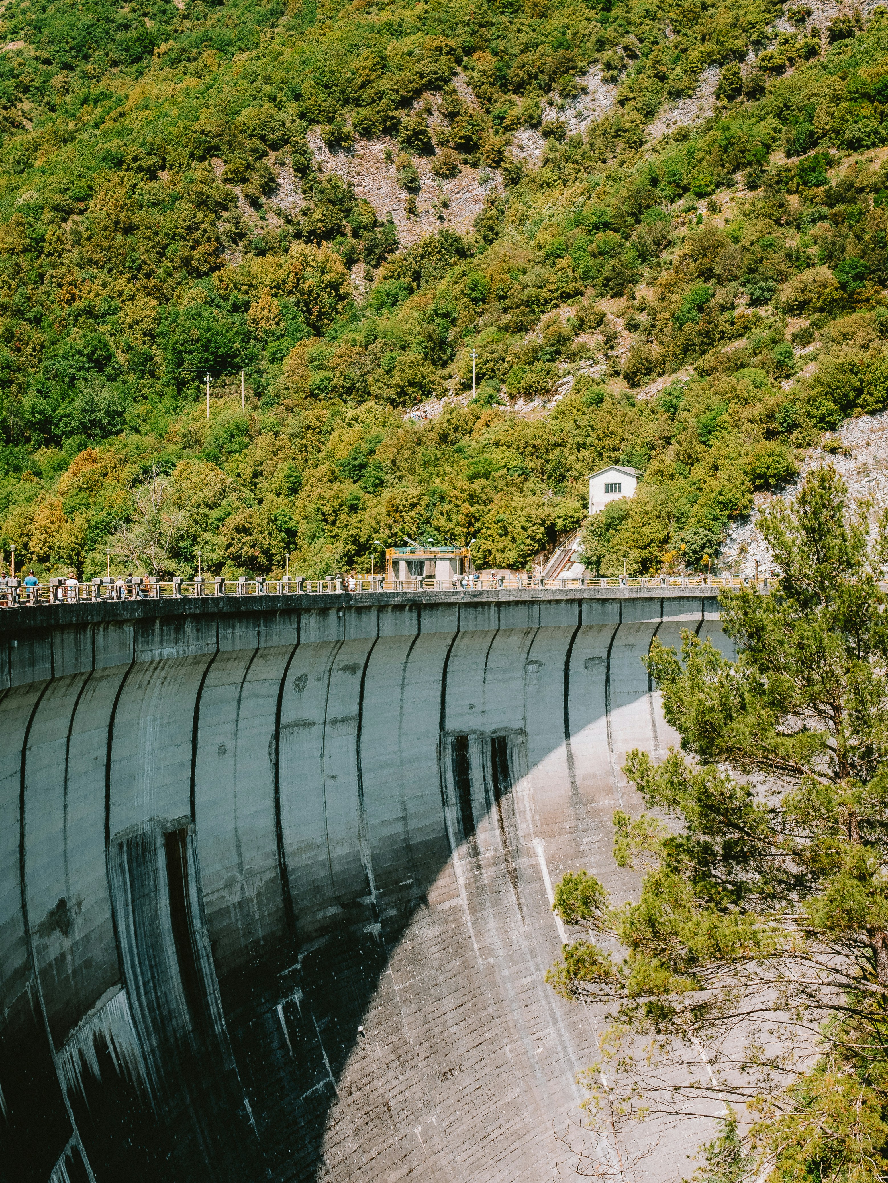 A large dam sits underneath a lush green mountain. photo – Free Trees ...