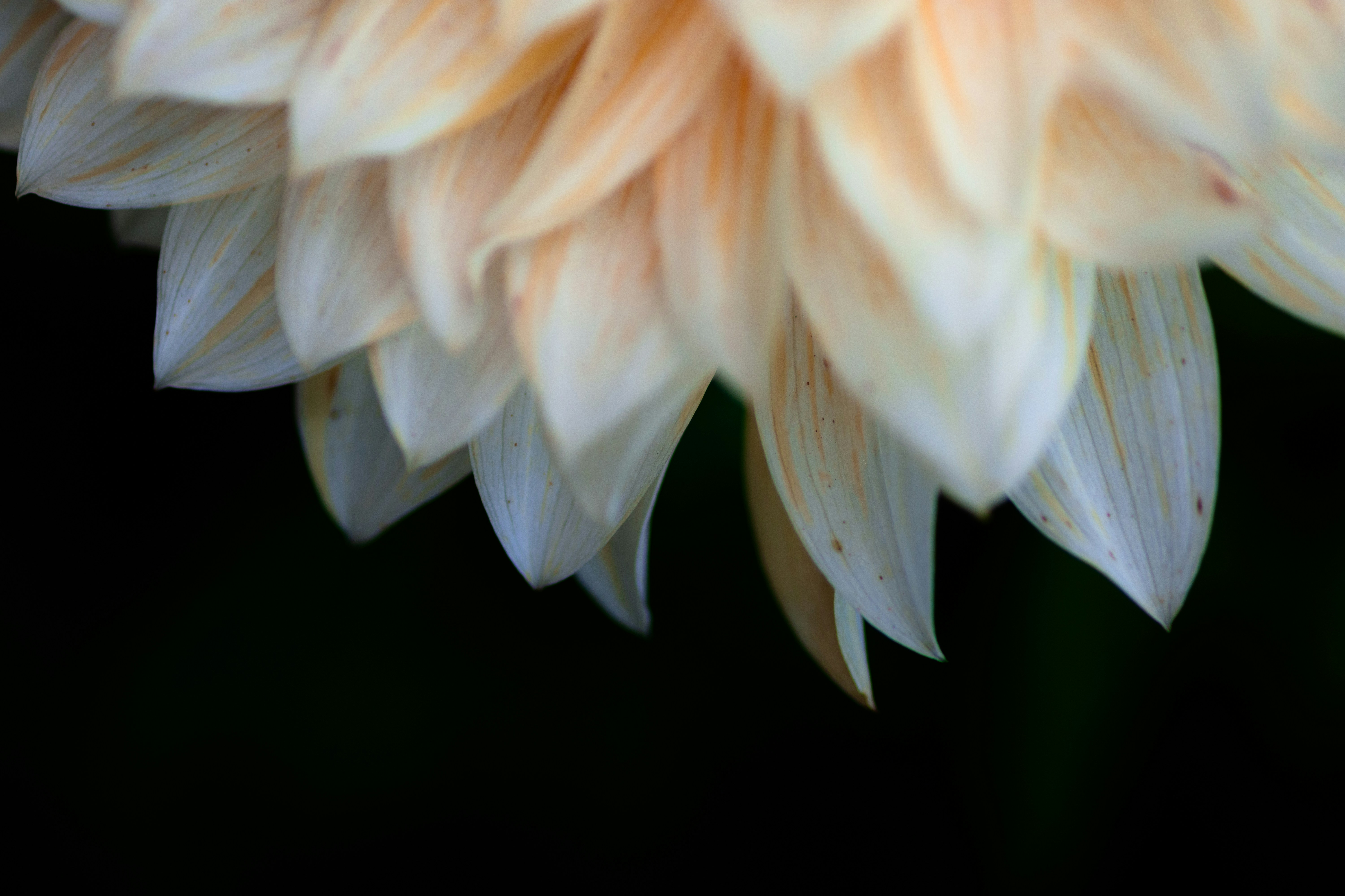 Photo by Aamir with Nikon D7200